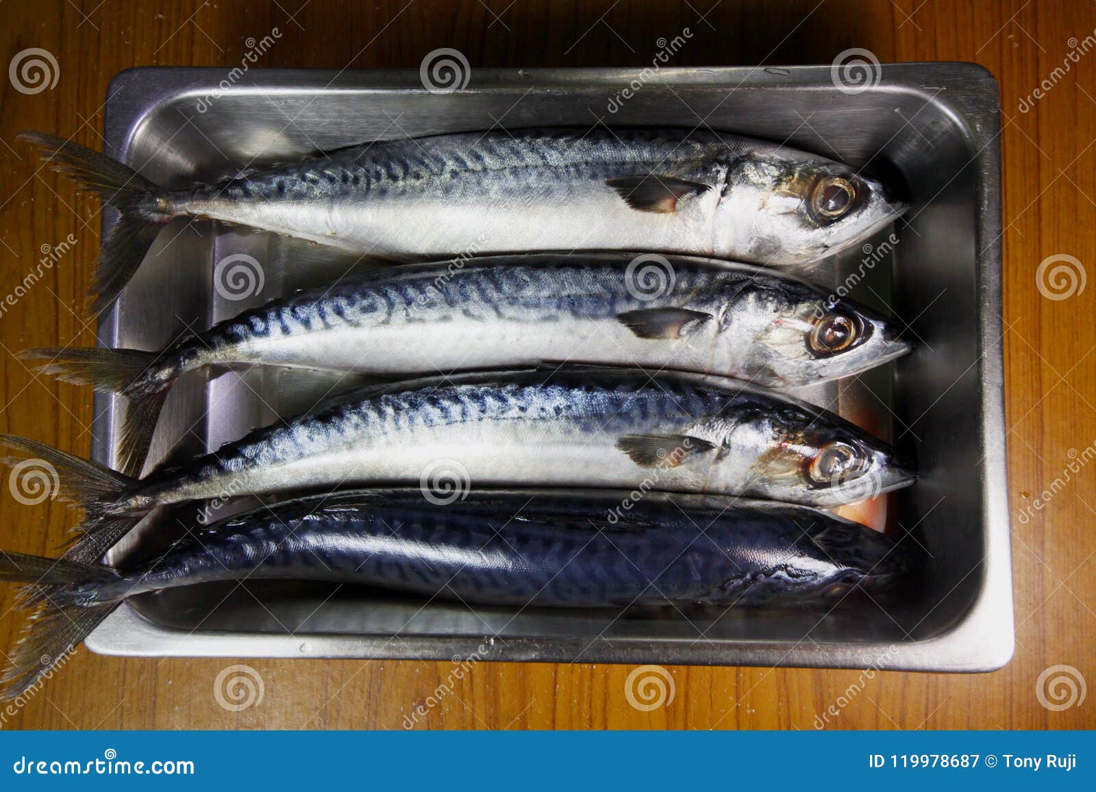 Fresh Mackerel Fish in Kitchen Stock Image - Image of diet, healthy ...