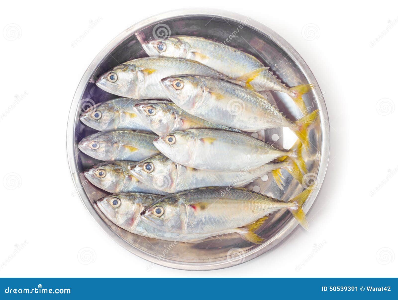 Fresh Mackerel Fish on Salver Stock Image - Image of delicious, place ...