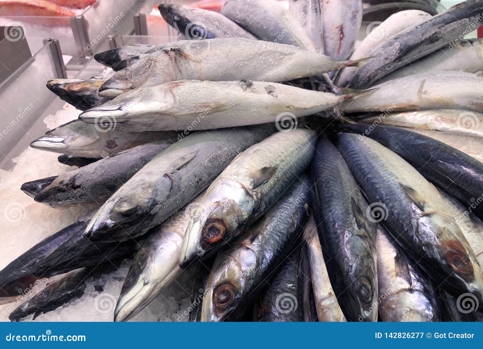 Fresh Mackerel Fish in Supermarket Stock Image - Image of sale, market ...