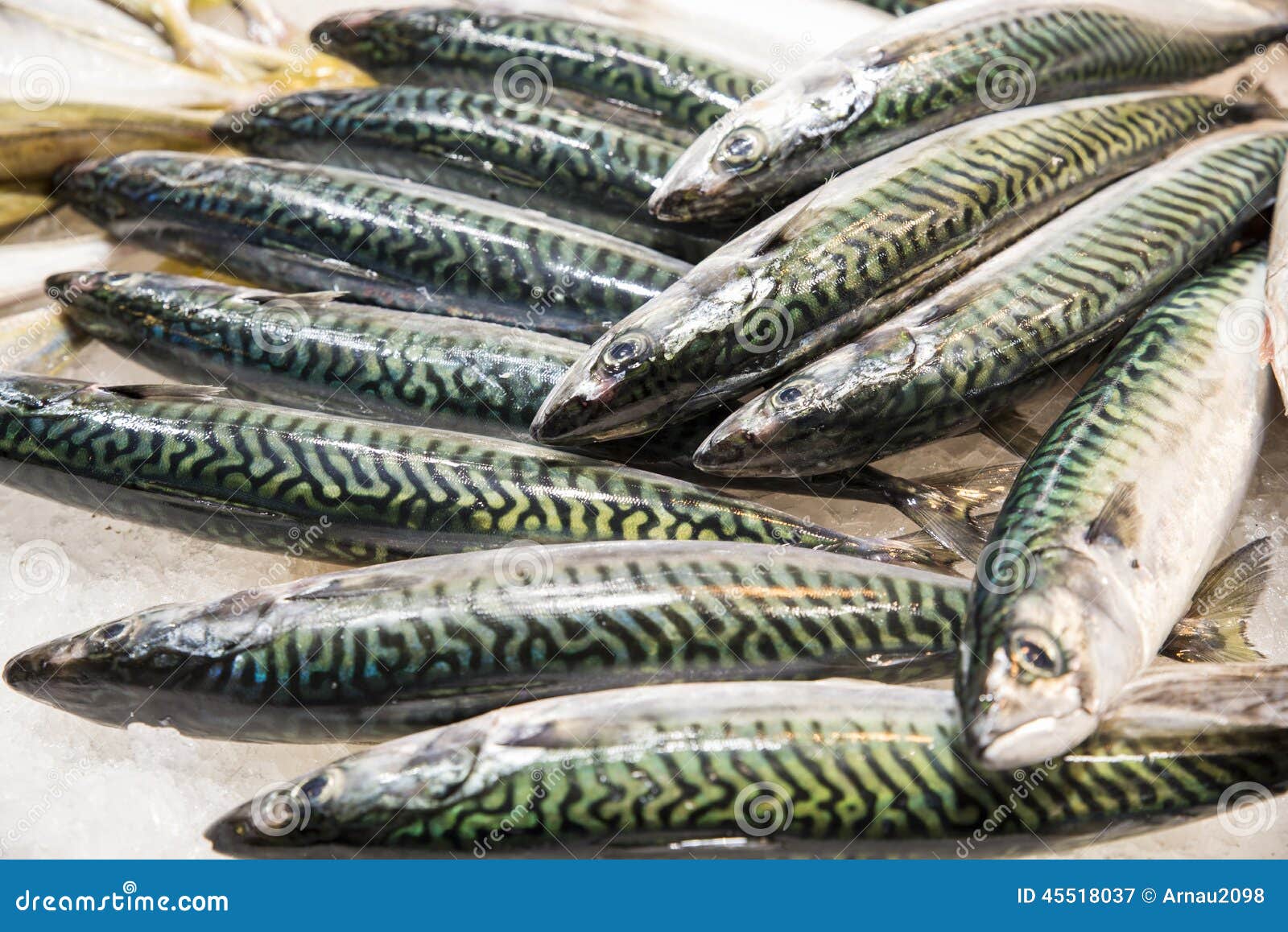 Fresh mackerel stock image. Image of freshness, prepared - 45518037