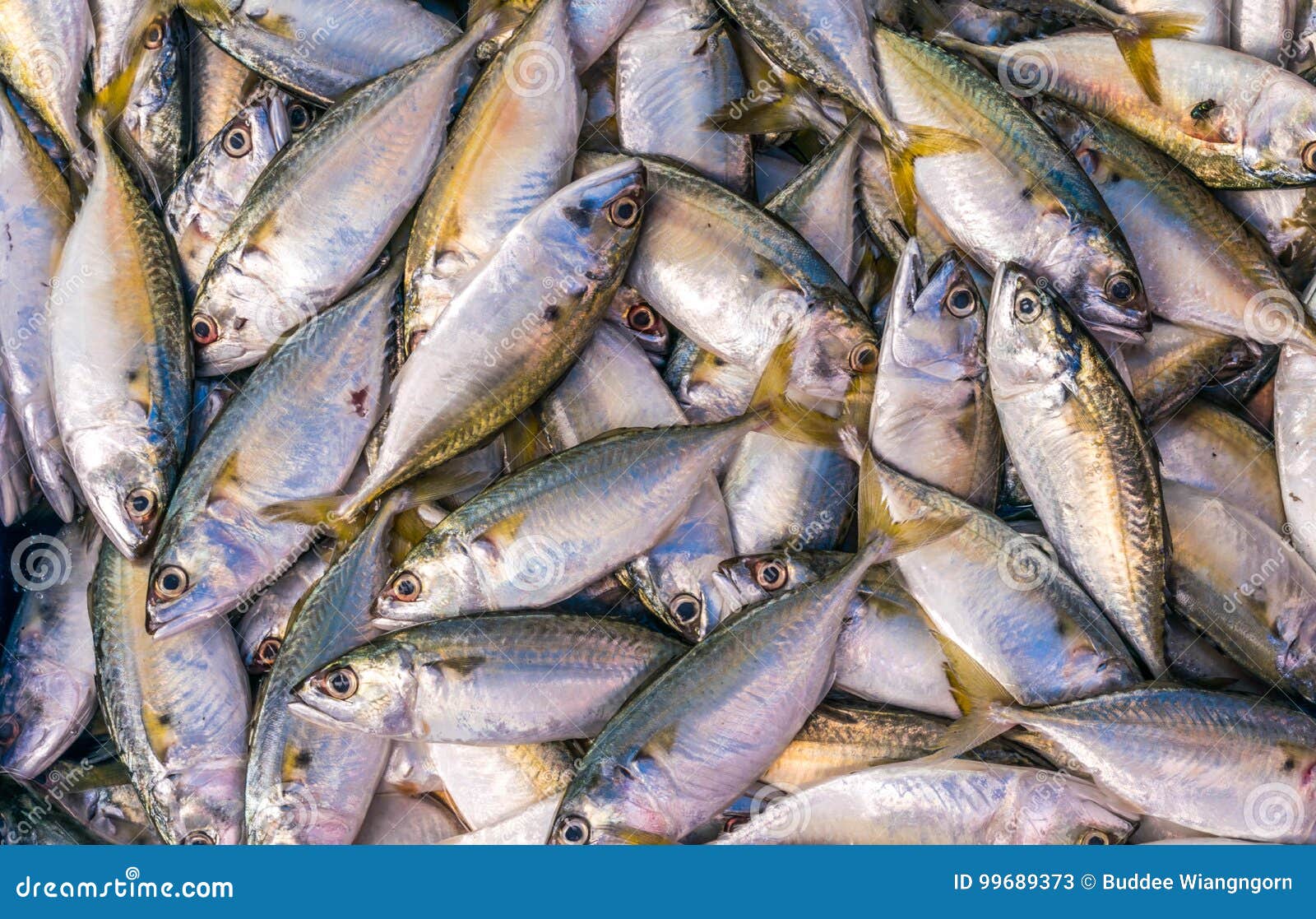 Fresh Mackerel for Thai Cuisine Stock Image - Image of cuisine ...