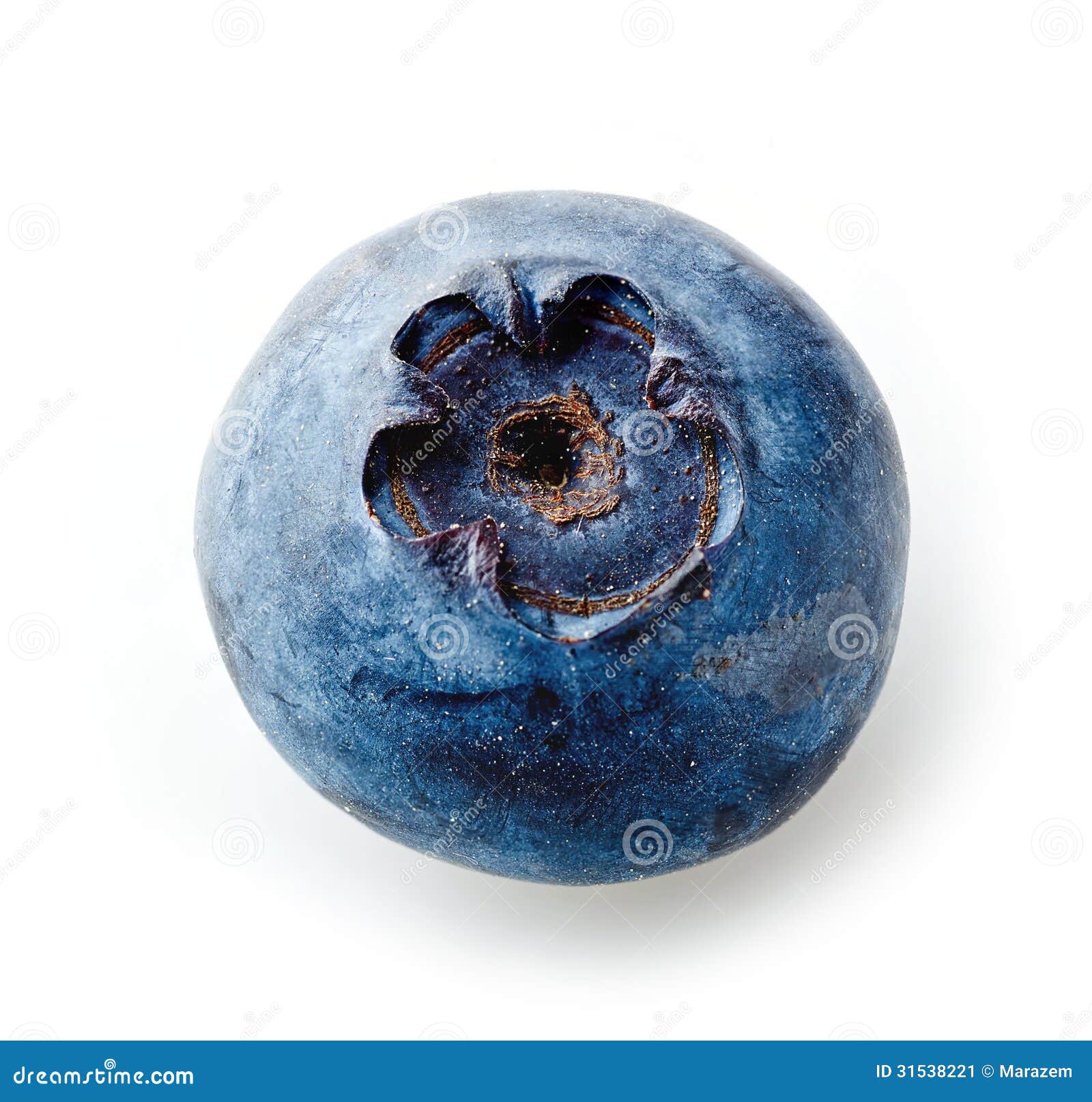 Macro. Blueberry Berry Cut In Half. The Bones And Internal Structure ...