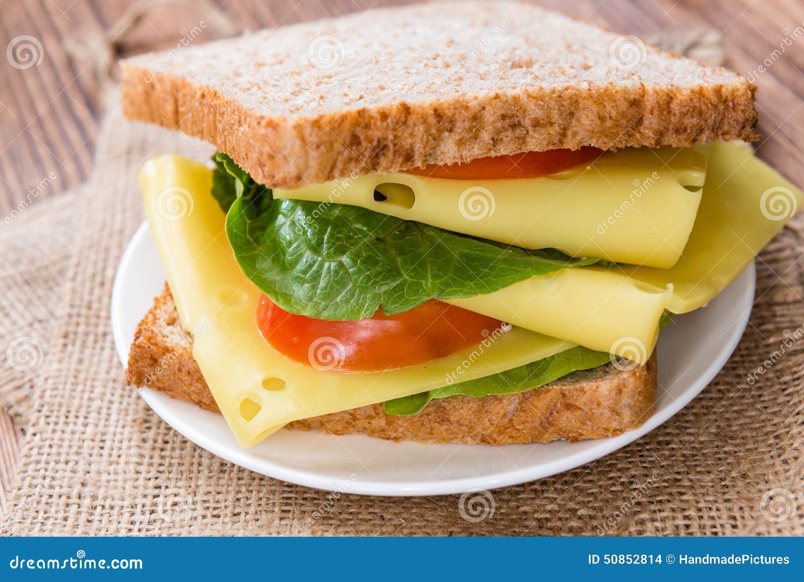 Fresh made Cheese Sandwich stock photo. Image of appetizer - 50852814