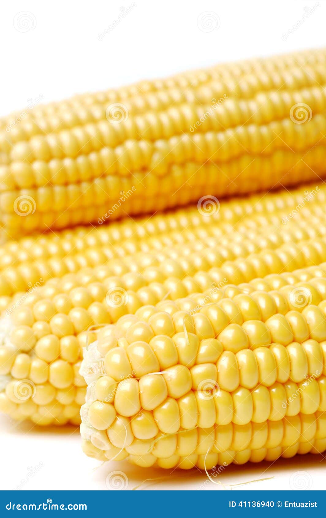 Fresh Maize Isolated on White Stock Photo - Image of flake, farm: 41136940
