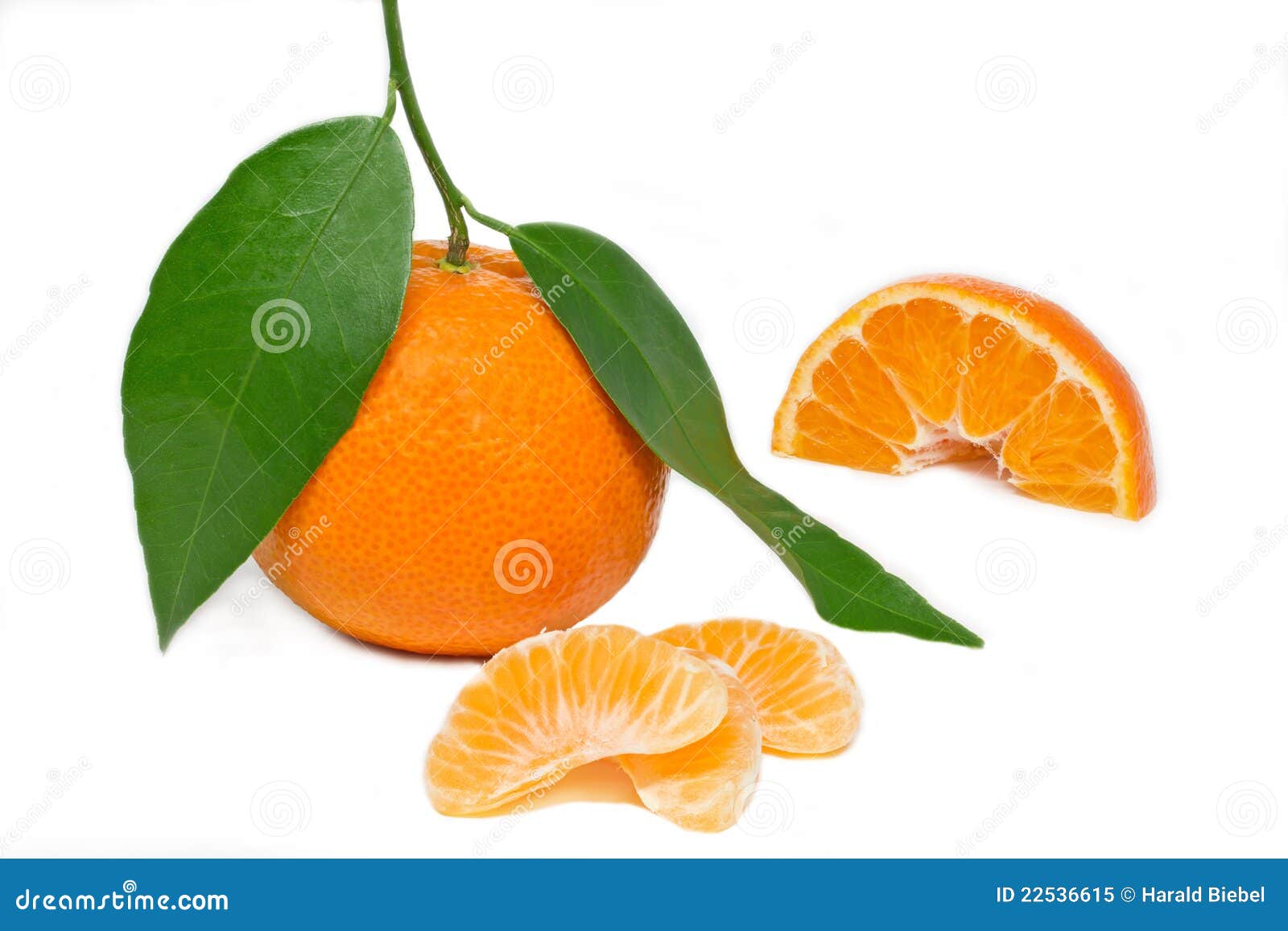 Fresh mandarin stock image. Image of mandarin, healthy - 22536615