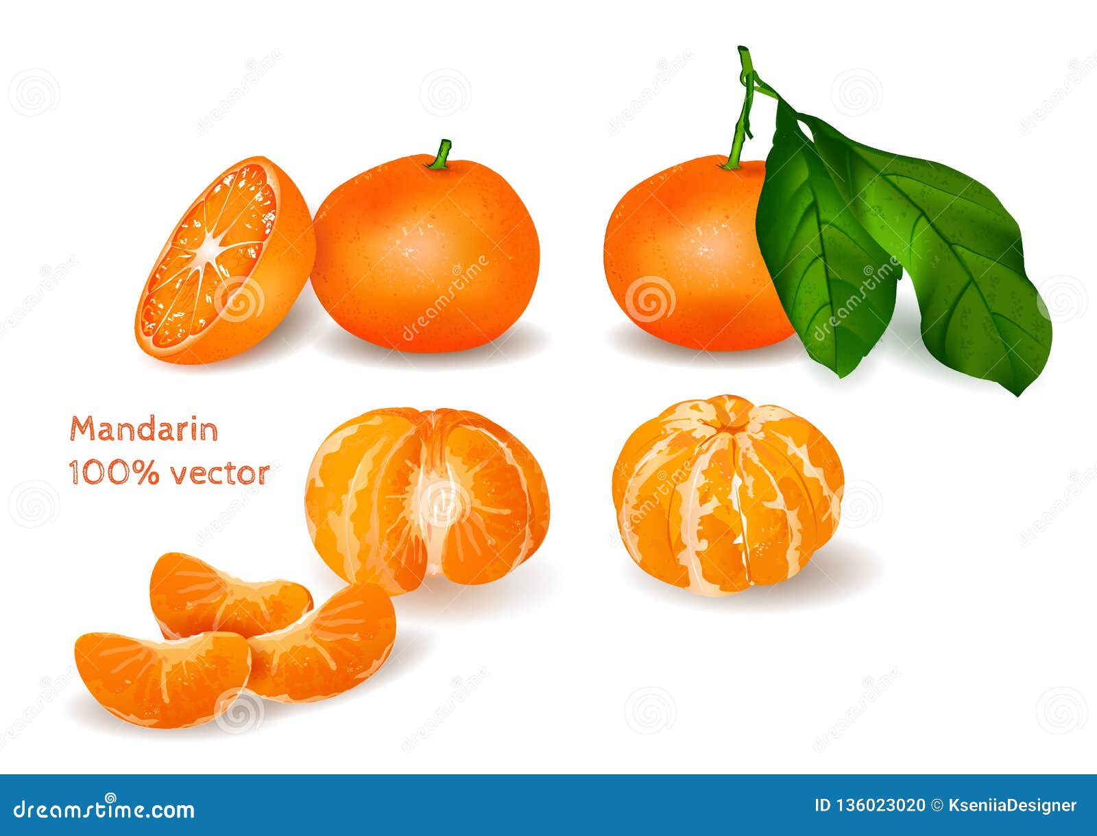 Fresh Mandarin. Vector Illustration Stock Vector - Illustration of ...