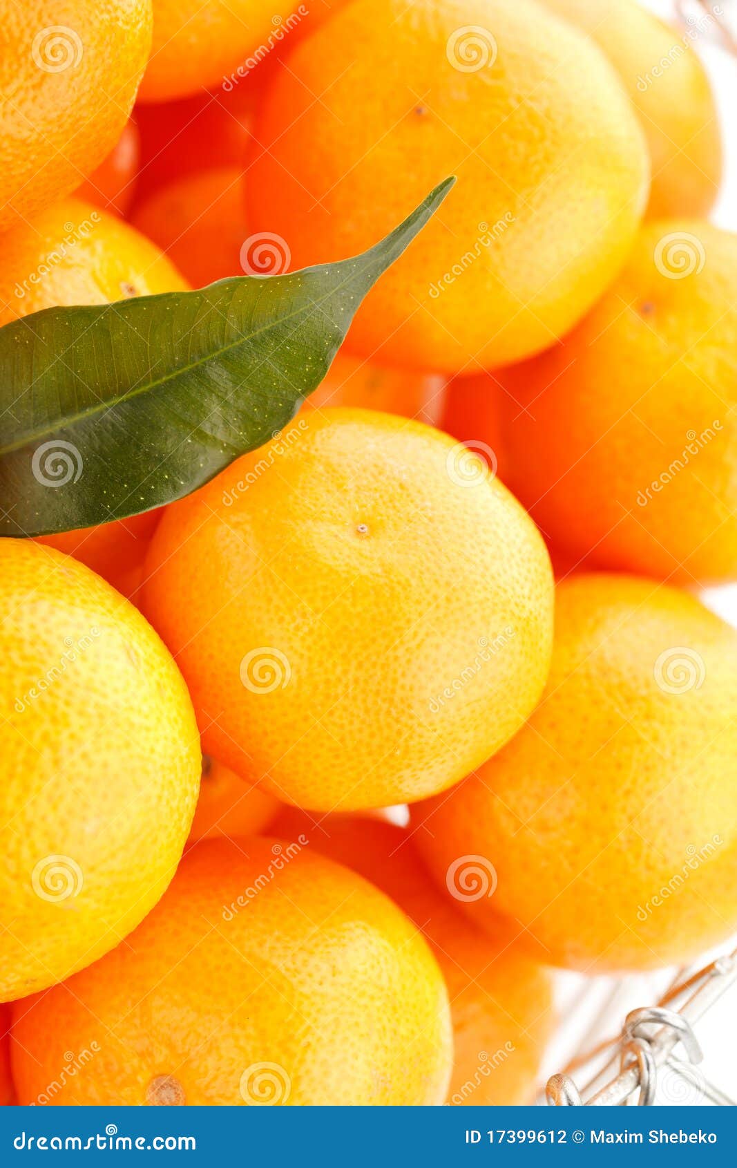 Fresh mandarines stock photo. Image of orange, healthy - 17399612