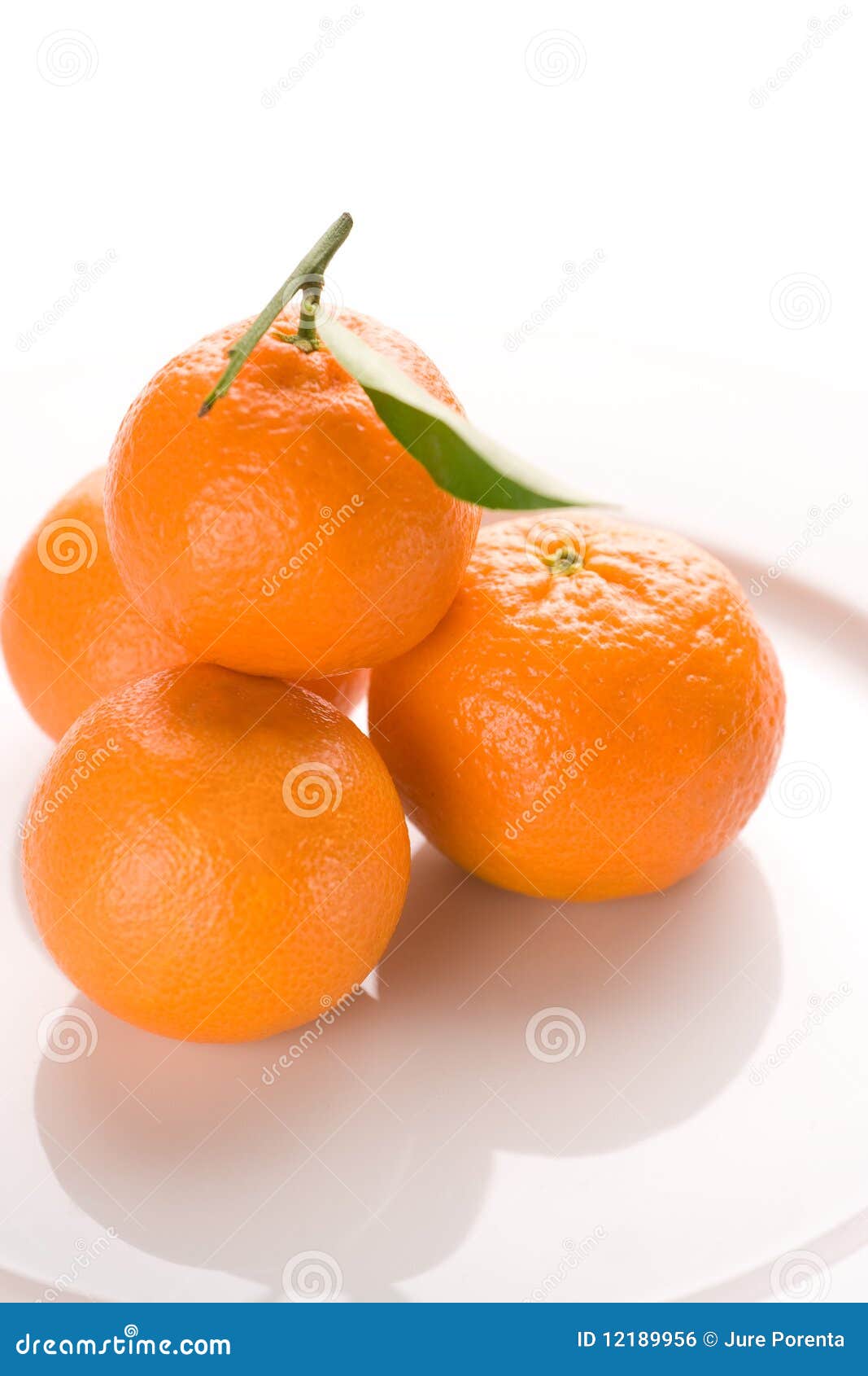 Fresh mandarins stock photo. Image of white, tasty, close - 12189956