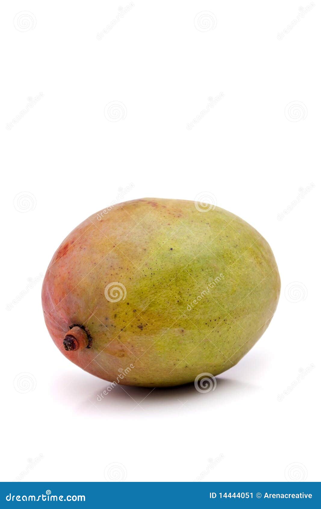 Fresh Mango Fruit stock image. Image of green, gourmet - 14444051