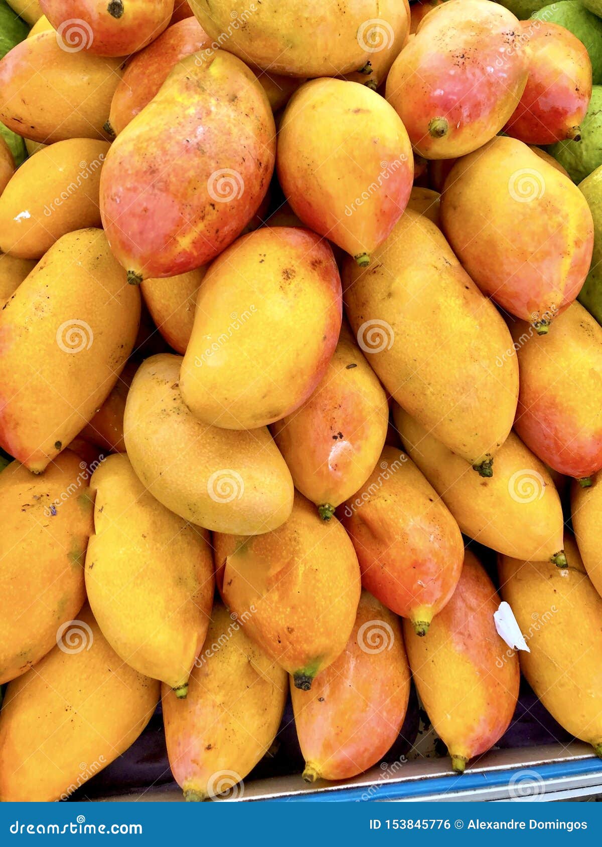 Mango stock photo. Image of health, mango, fresh, fruit - 153845776