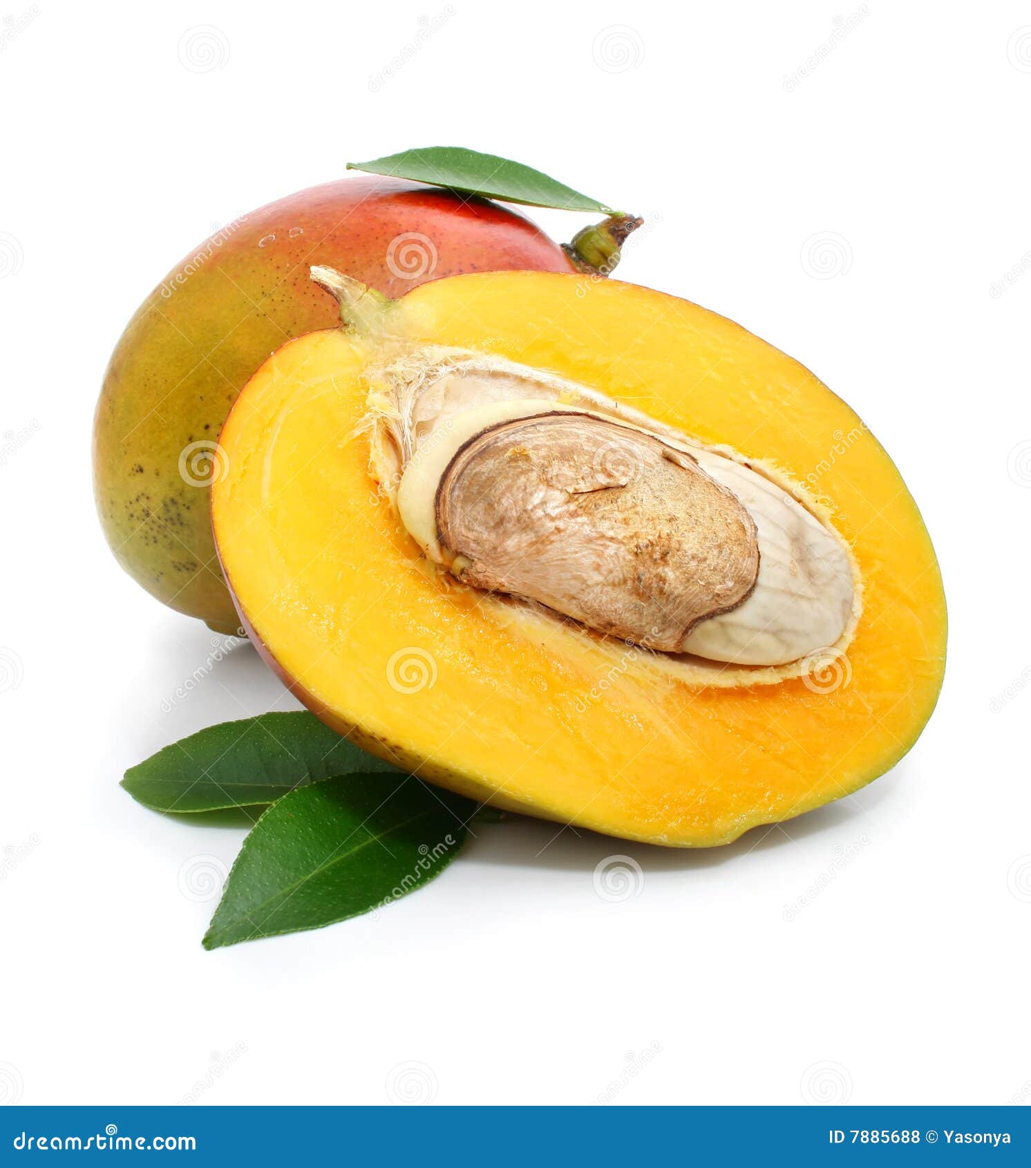 Fresh Mango Fruit with Green Leafs Stock Photo - Image of cutting ...