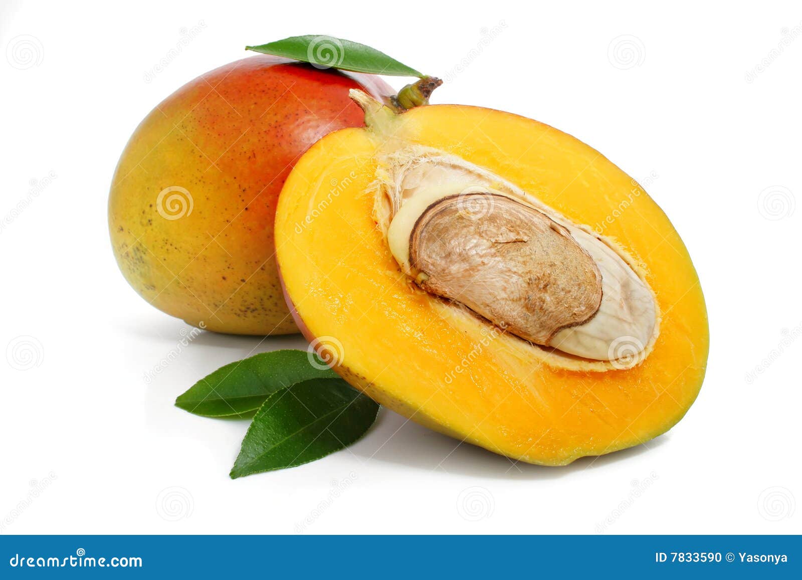 Fresh Mango Isolated On White Background Indian Mango Alphonso Mango ...