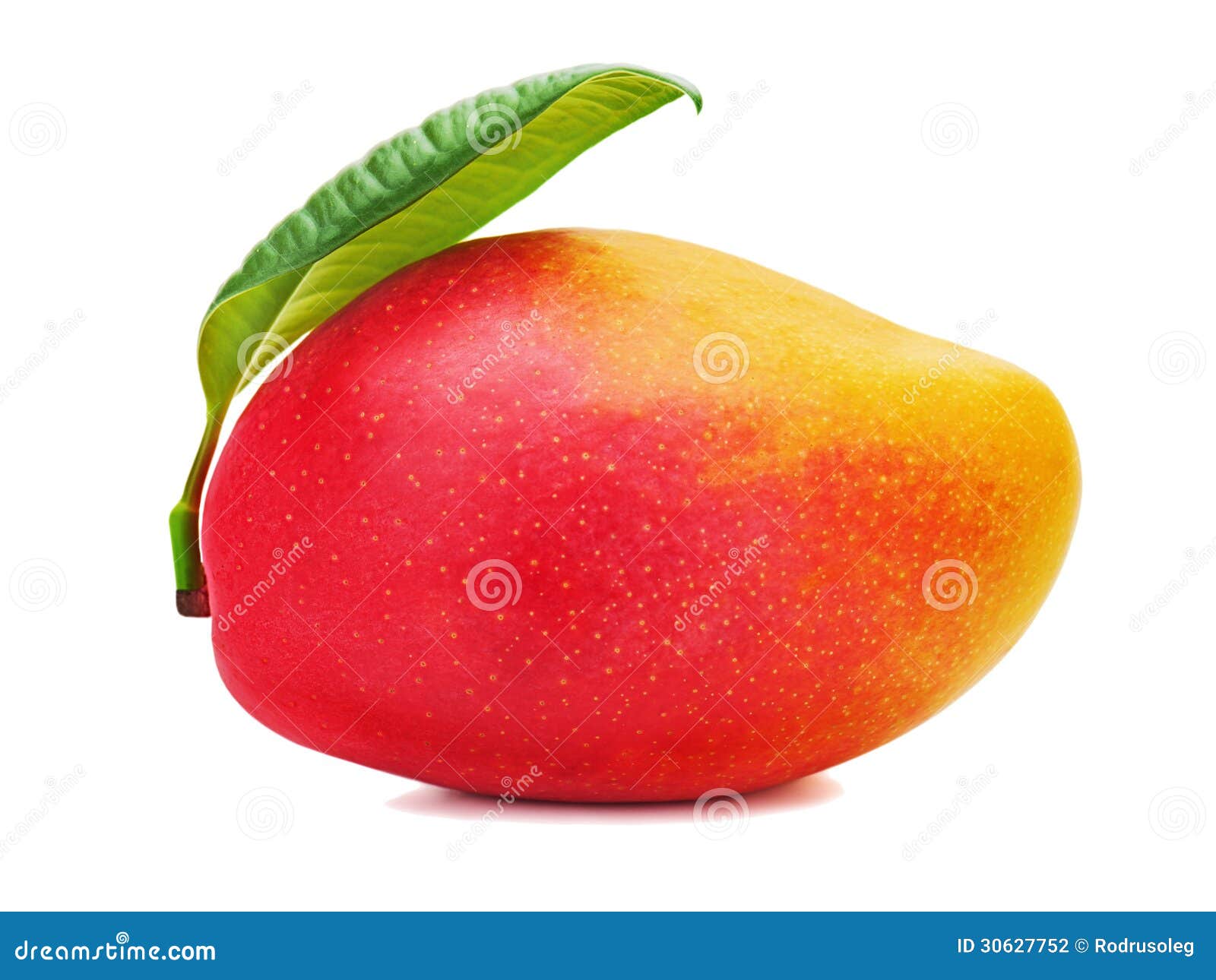 Fresh Mango Fruit with Green Leaves Isolated on White Background Stock ...