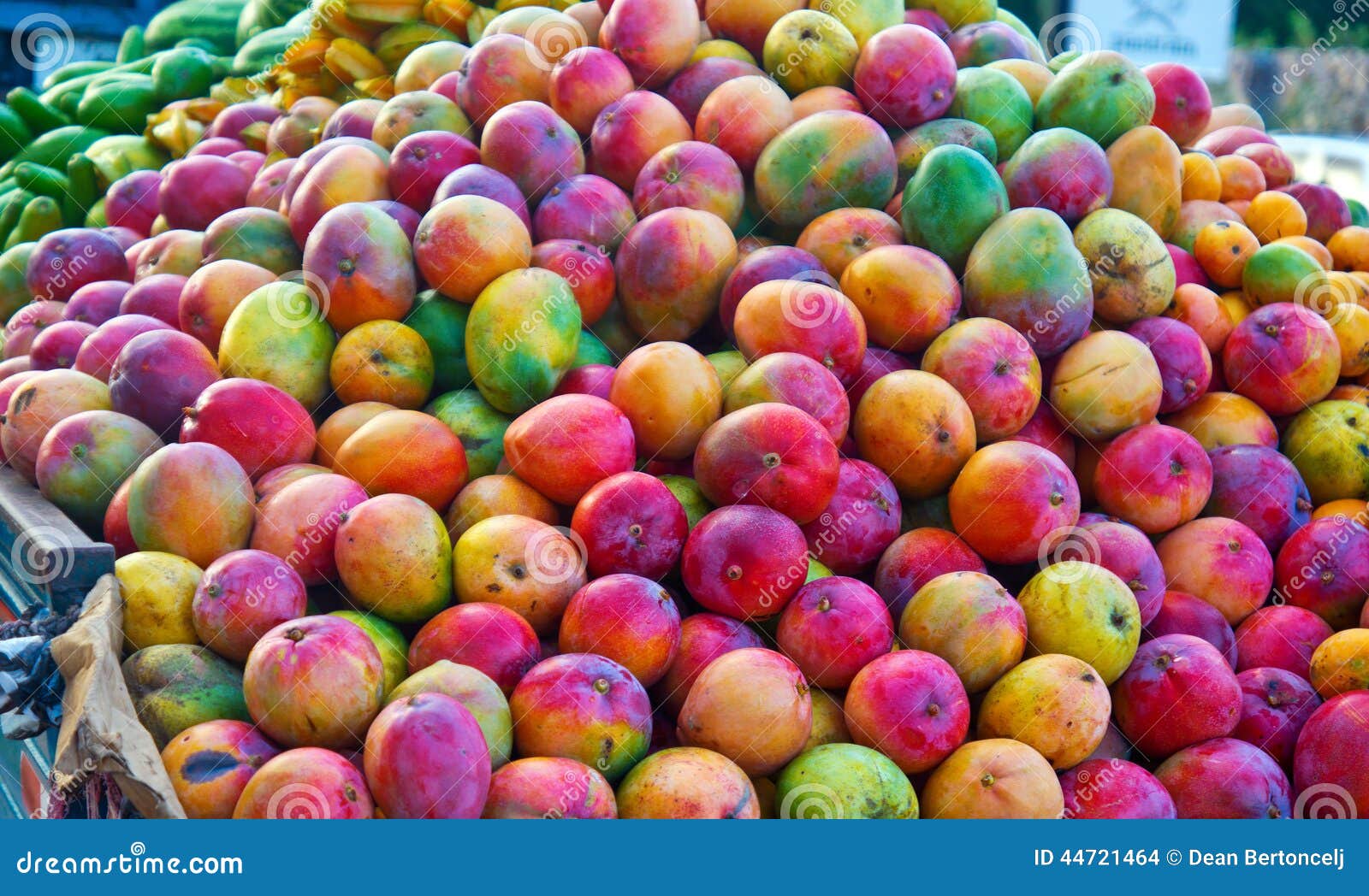 Fresh mango fruit stock photo. Image of closeup, mango - 44721464