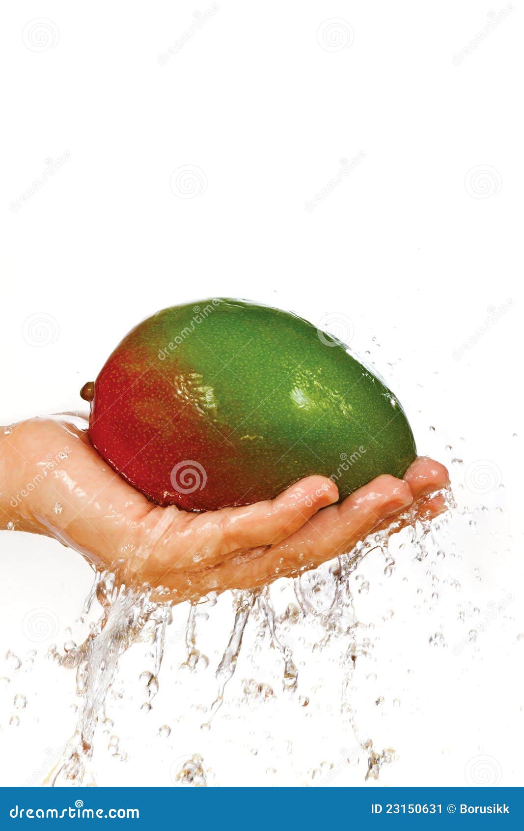 Fresh Mango in Hand Under Flowing Water Stock Image - Image of nutrient ...
