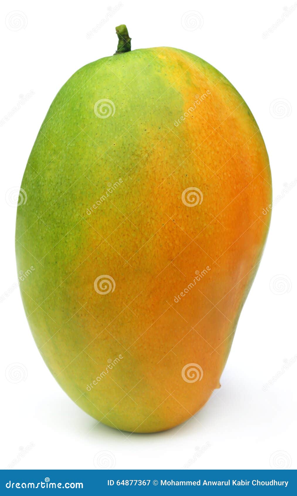 Fresh mango stock image. Image of green, nature, color - 64877367