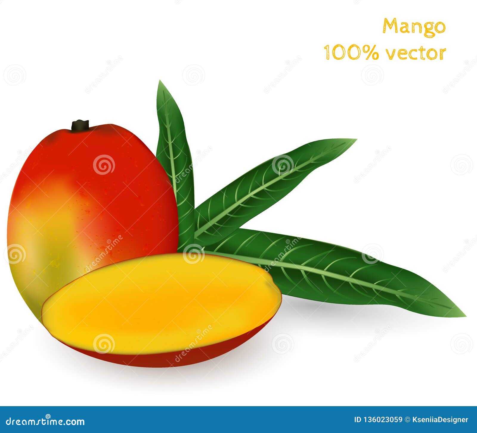Fresh Mango with Slice of Mango. Photorealistic Vector Image. Stock ...