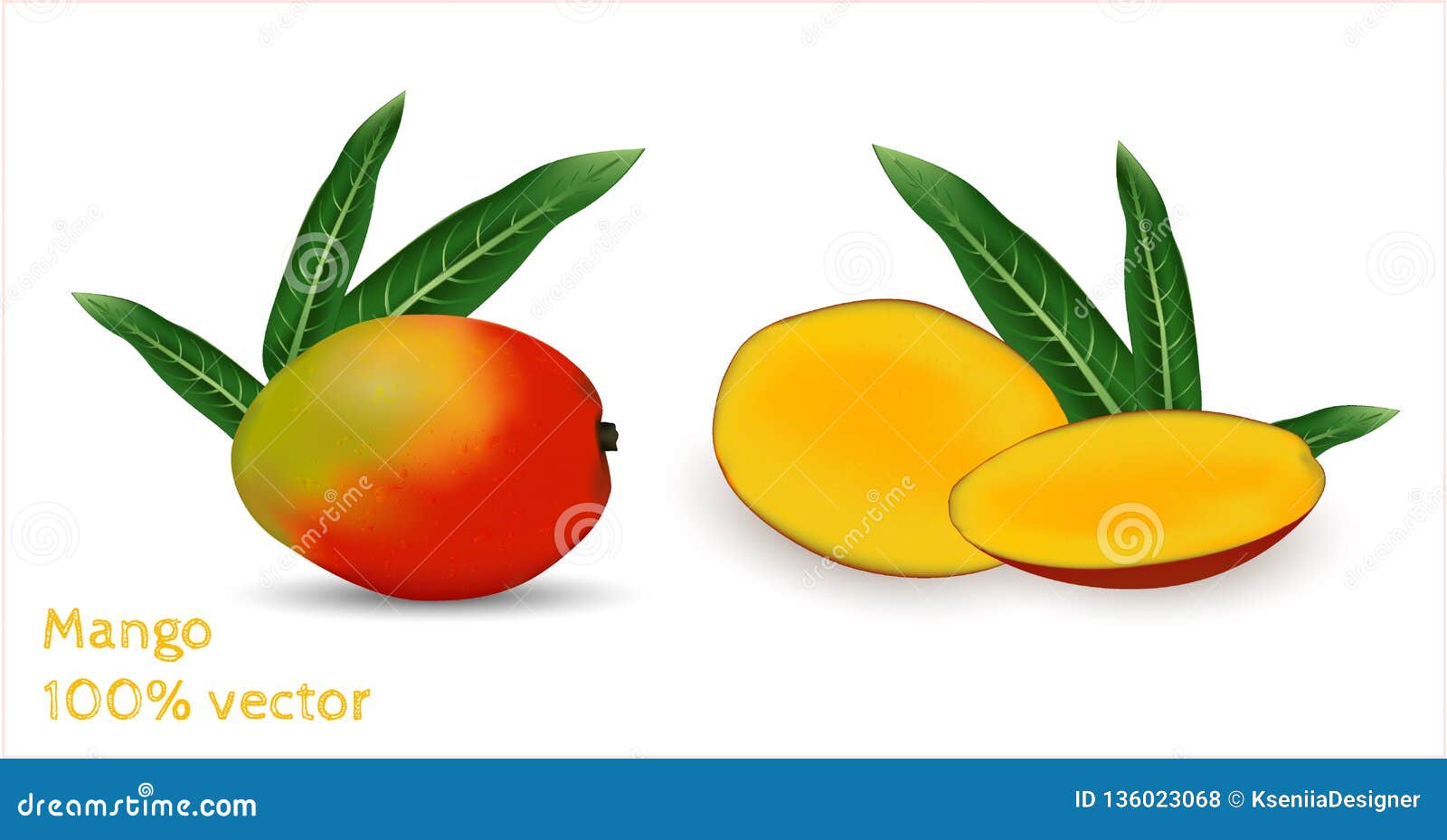 Fresh Mango with Slice of Mango. Photorealistic Vector Image. Stock ...