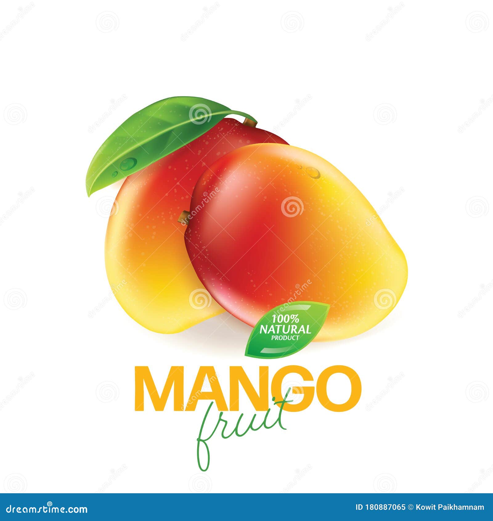 Fresh Mango with Slices and Leaves Vector Illustration Stock Vector ...