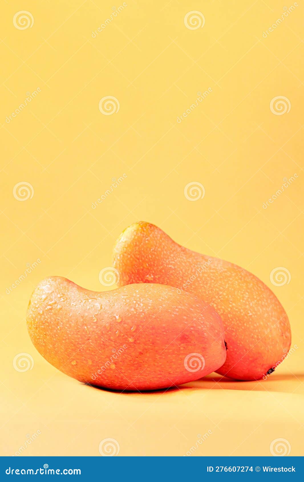 Fresh Mango on Solid Color Background Stock Photo - Image of tropical ...