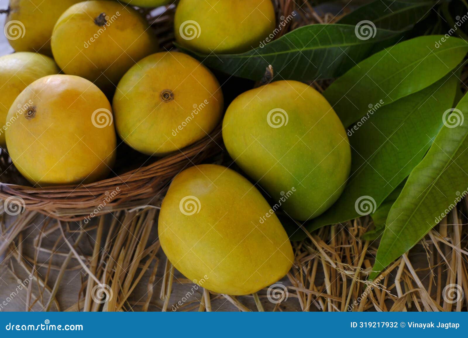 Fresh Mango Tropical Fruit with Green Leaf, Ripe Mango in Grass Stock ...
