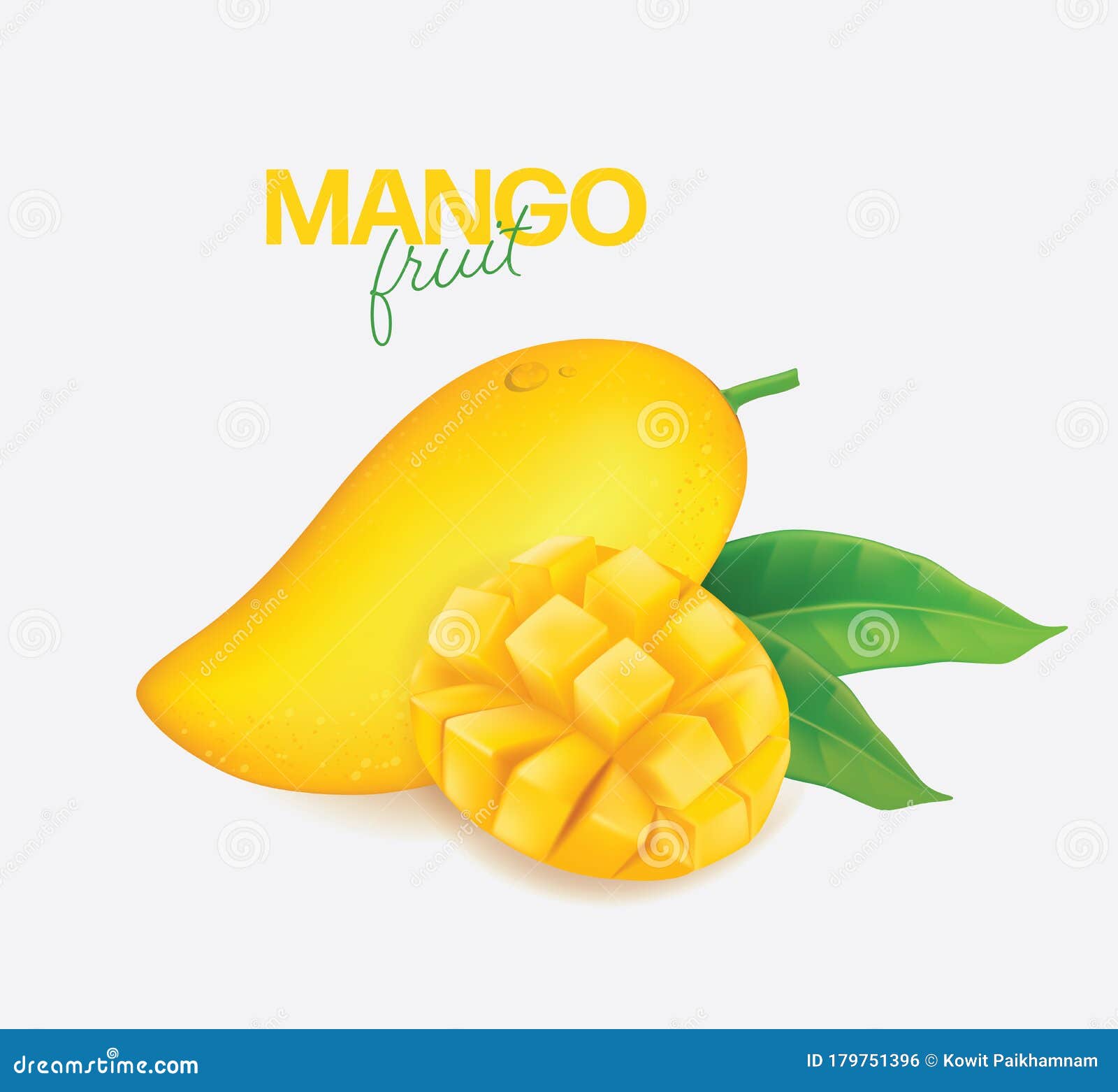 Fresh Mango Vector Illustration Stock Vector - Illustration of ...