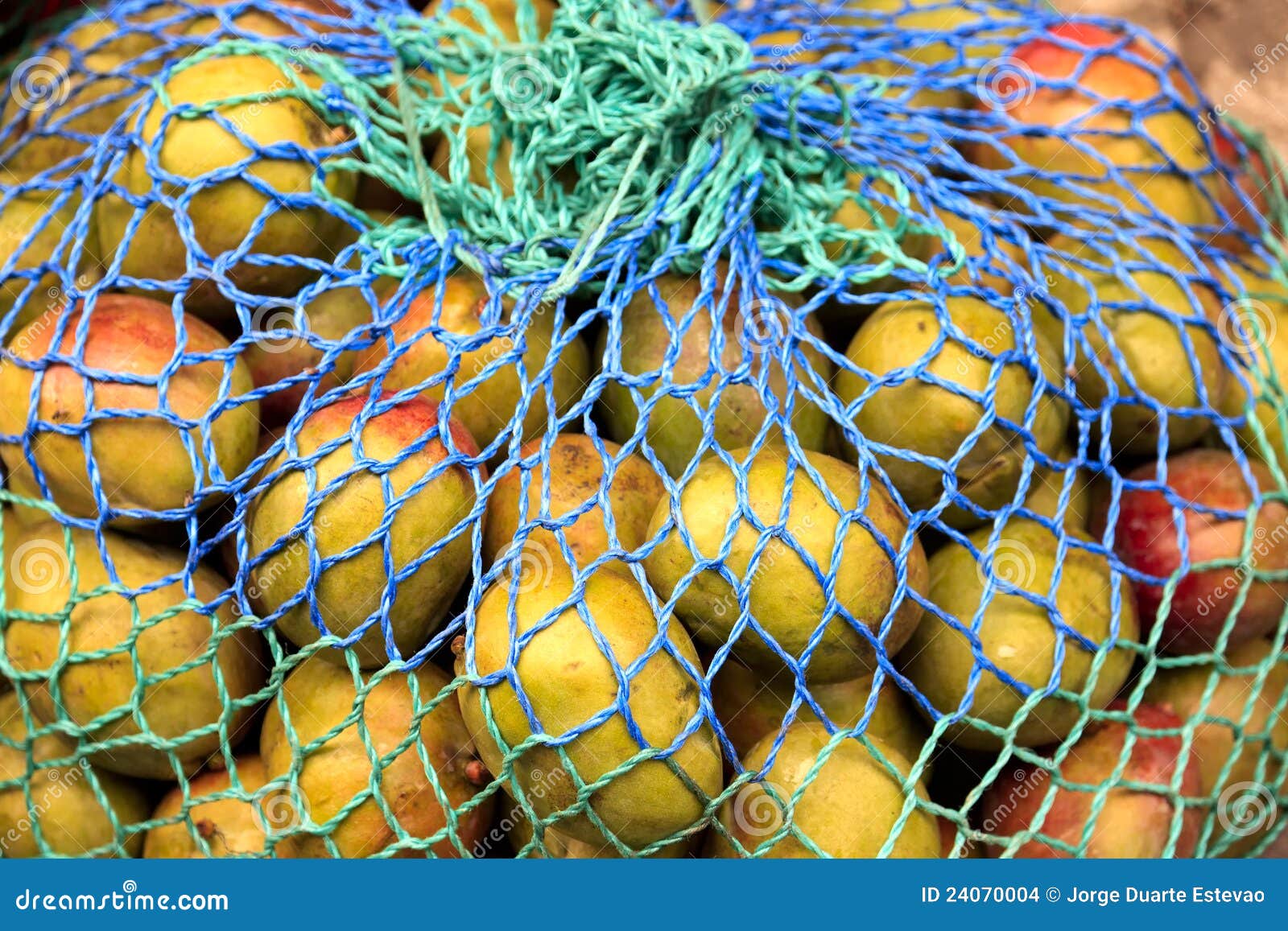 Fresh mangoes stock photo. Image of diet, medical, mango - 24070004