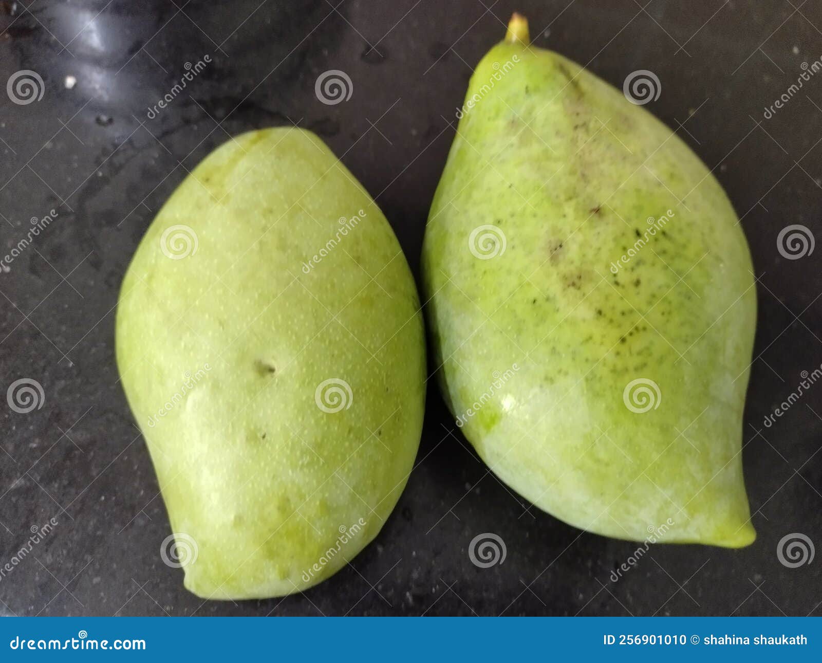 Fresh Mangoes outdoor stock photo. Image of fresh, mangoes - 256901010