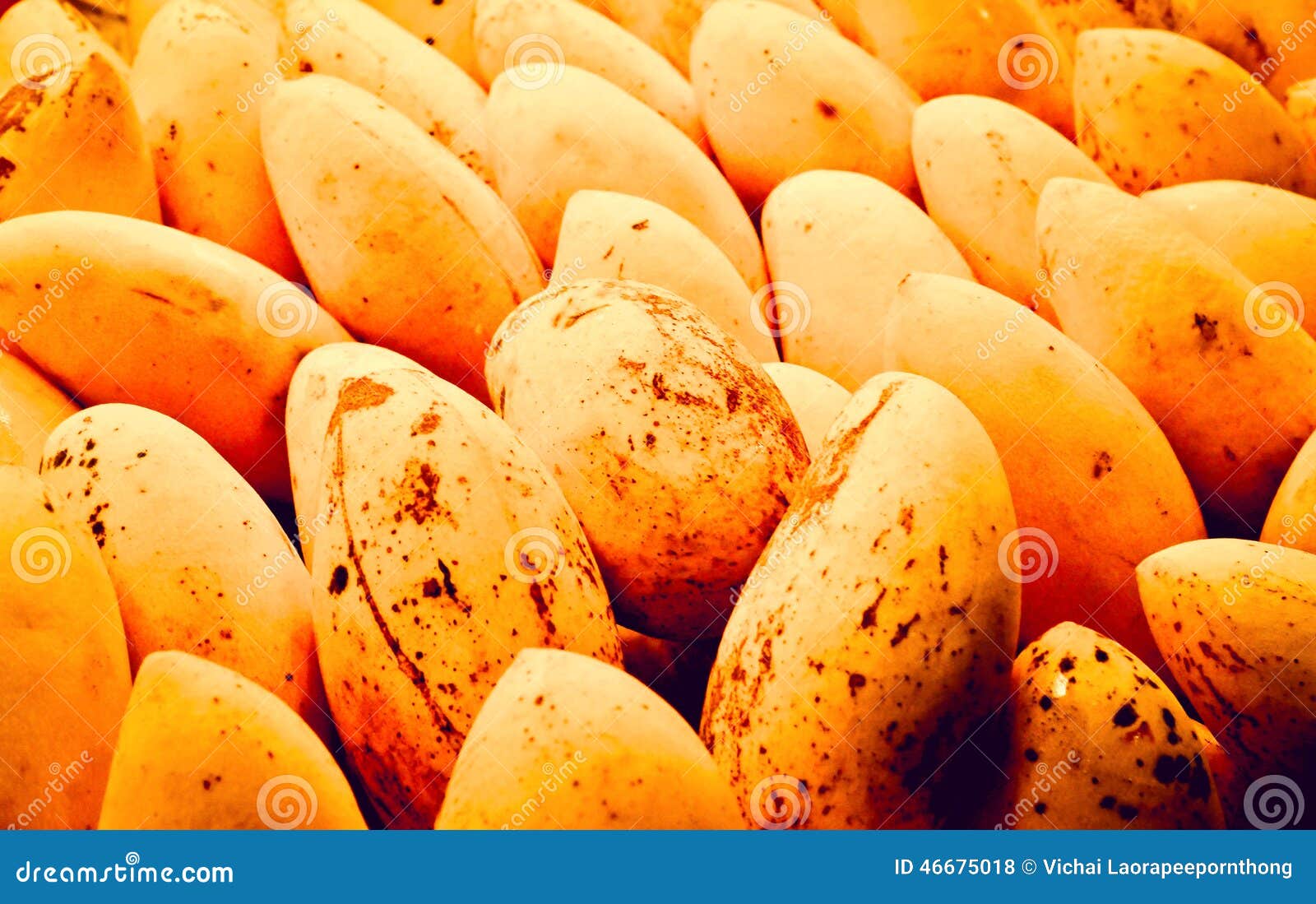 Fresh mangoes stock photo. Image of vegetarian, tropical - 46675018