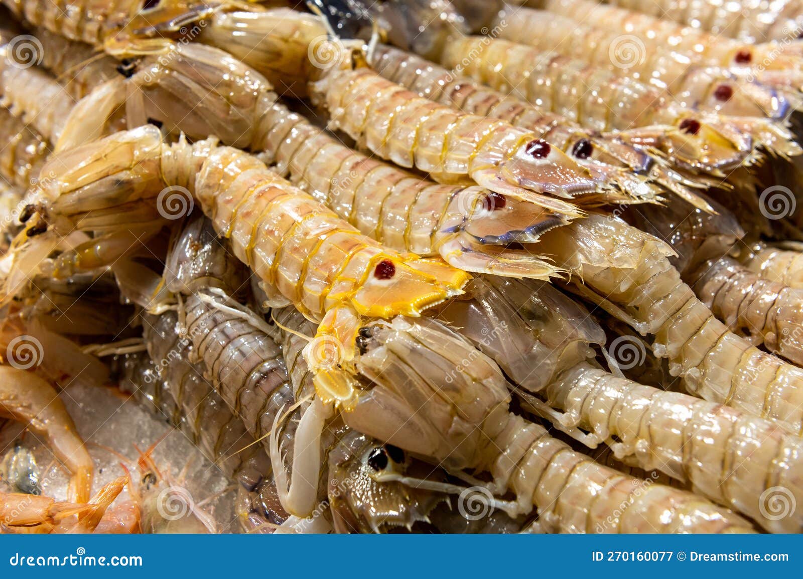 Fresh Mantis Shrimp on Fish Market Stock Image - Image of eatery, fish ...
