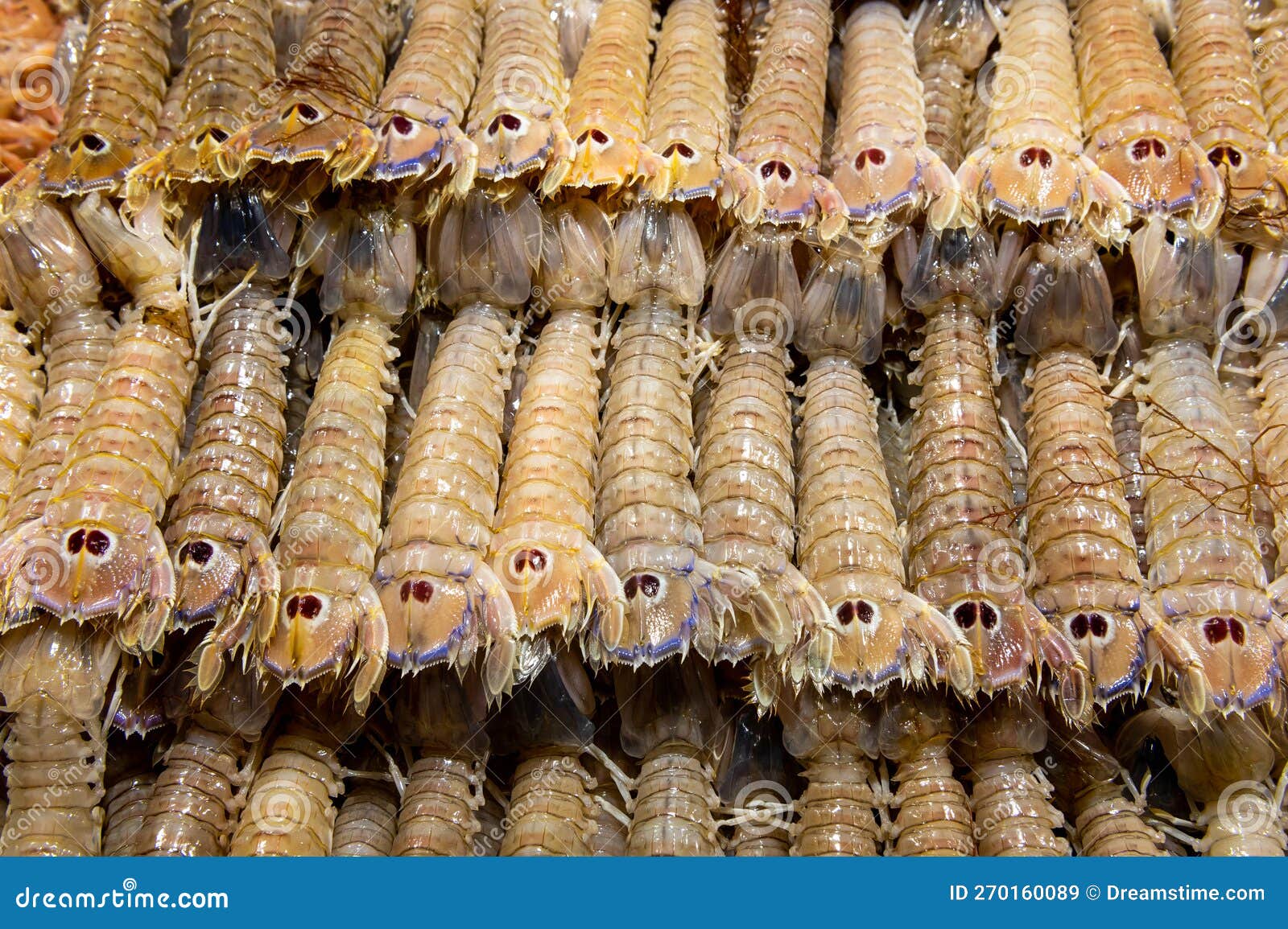 Fresh Mantis Shrimp on Fish Market Stock Image - Image of ingredient ...