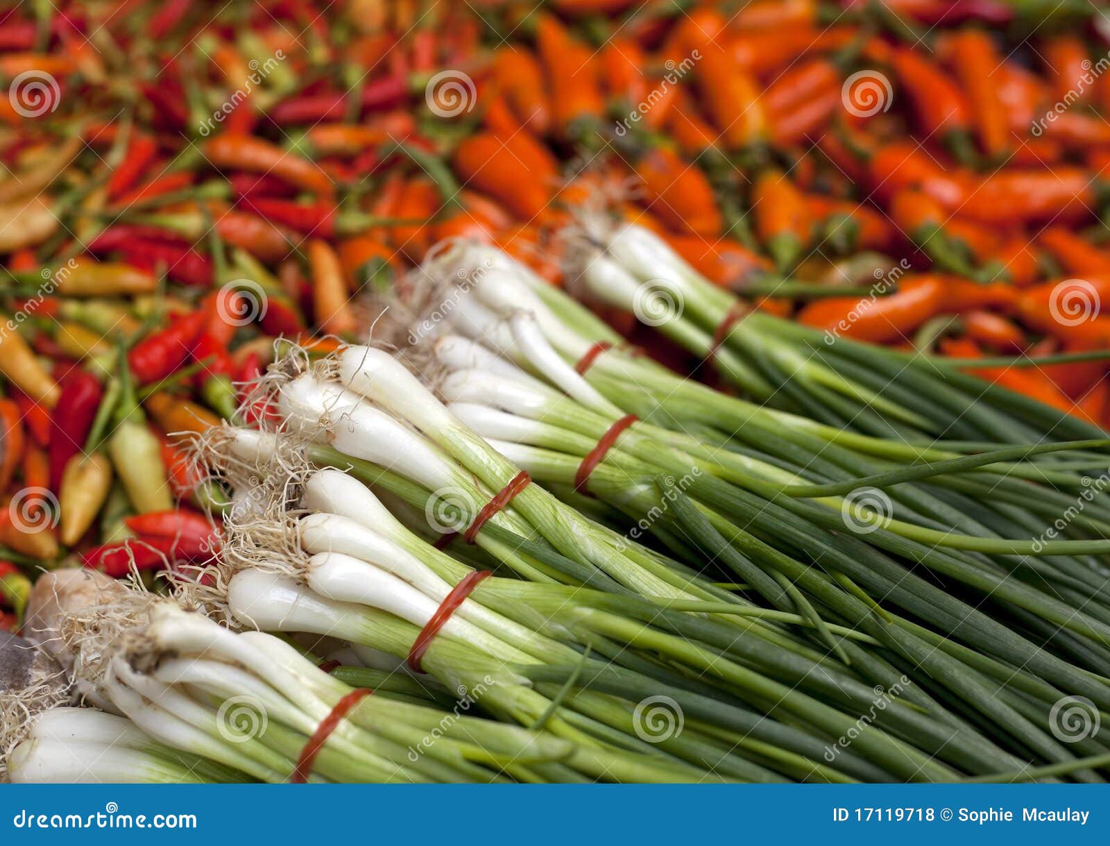 Fresh Market Chilis and Spring Onion Stock Photo - Image of chili ...