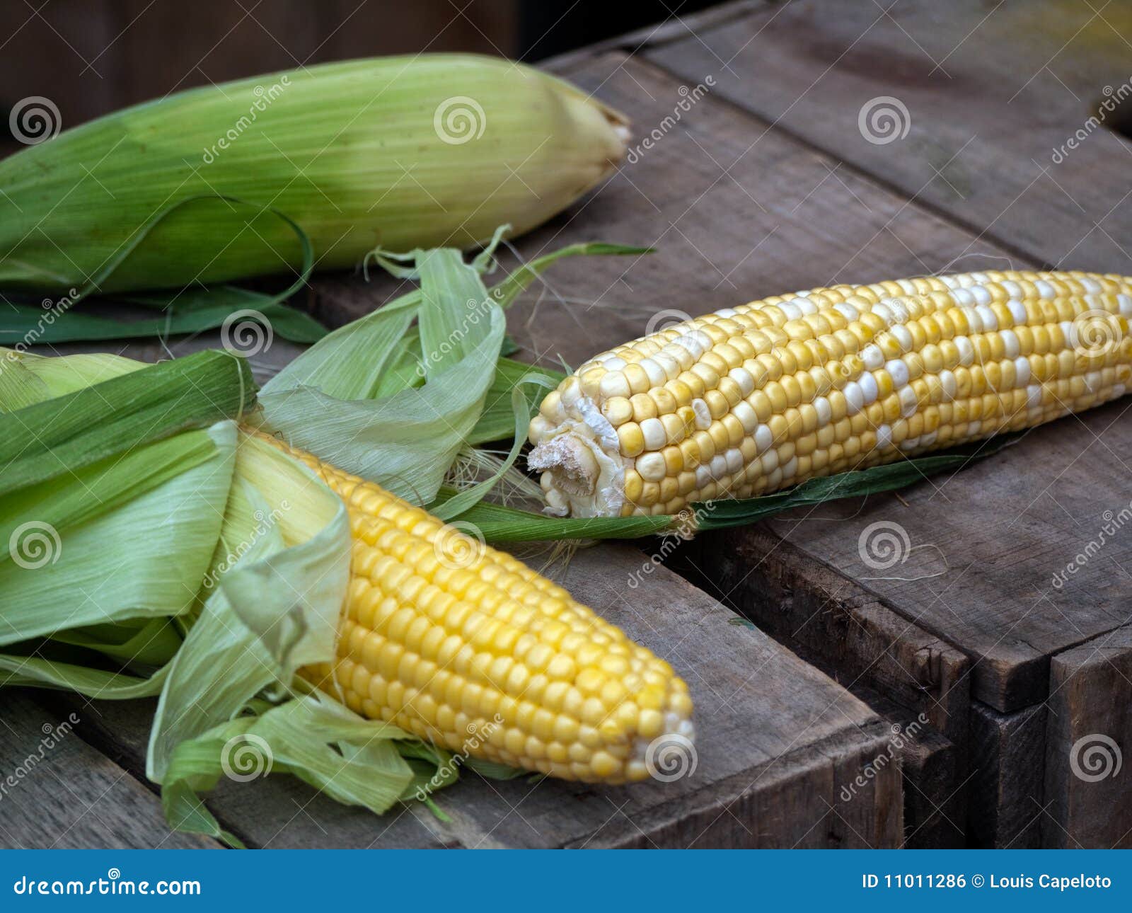 Fresh Market Corn from Virginia Stock Photo - Image of healthy, closeup ...