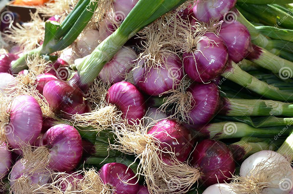 Fresh market onions stock image. Image of ingredients - 20386775