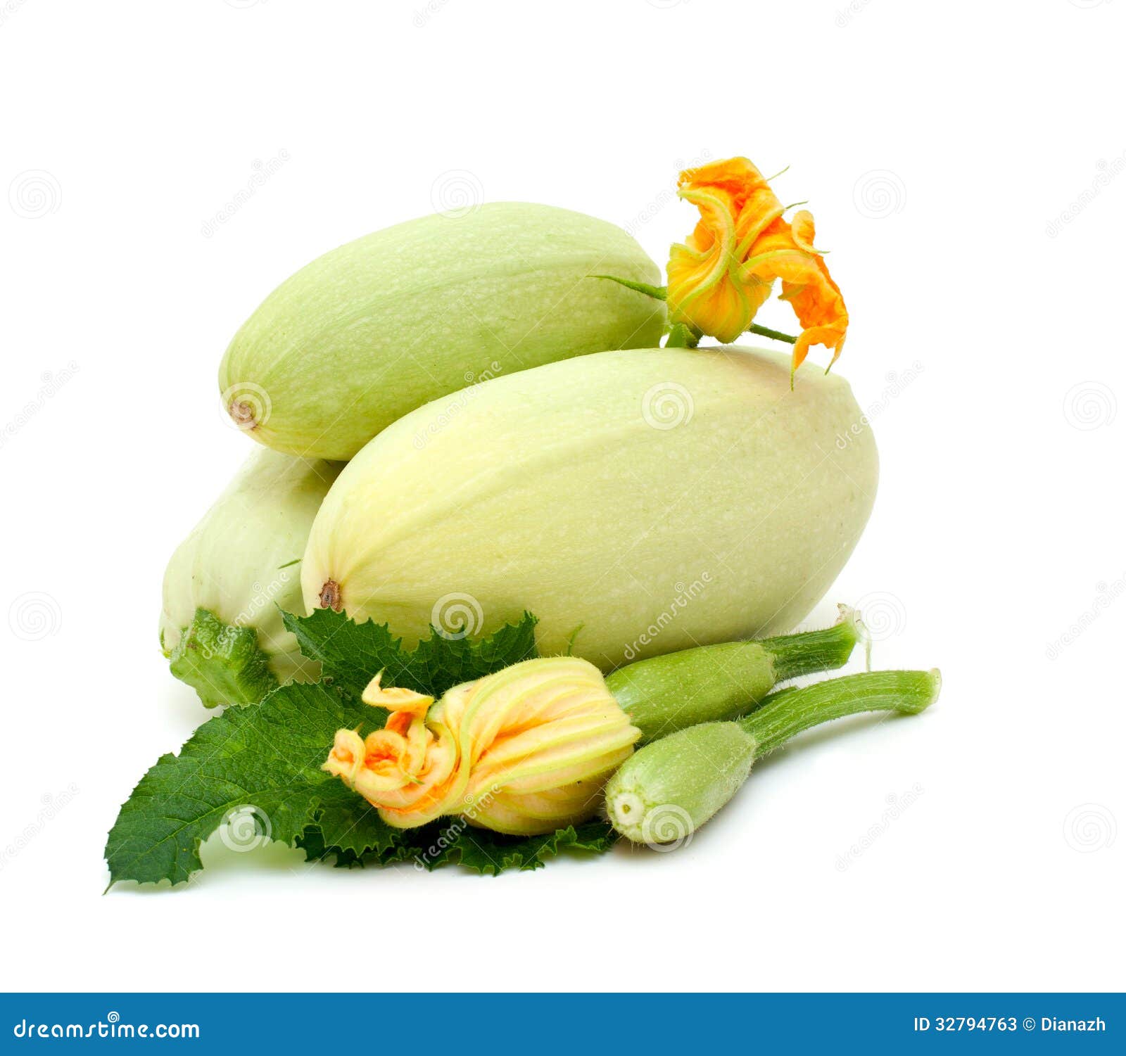 Fresh Marrow with Flower and Leaf Stock Image - Image of fresh, group ...