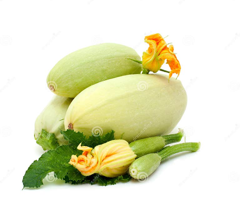 Fresh Marrow with Flower and Leaf Stock Image - Image of fresh, group ...