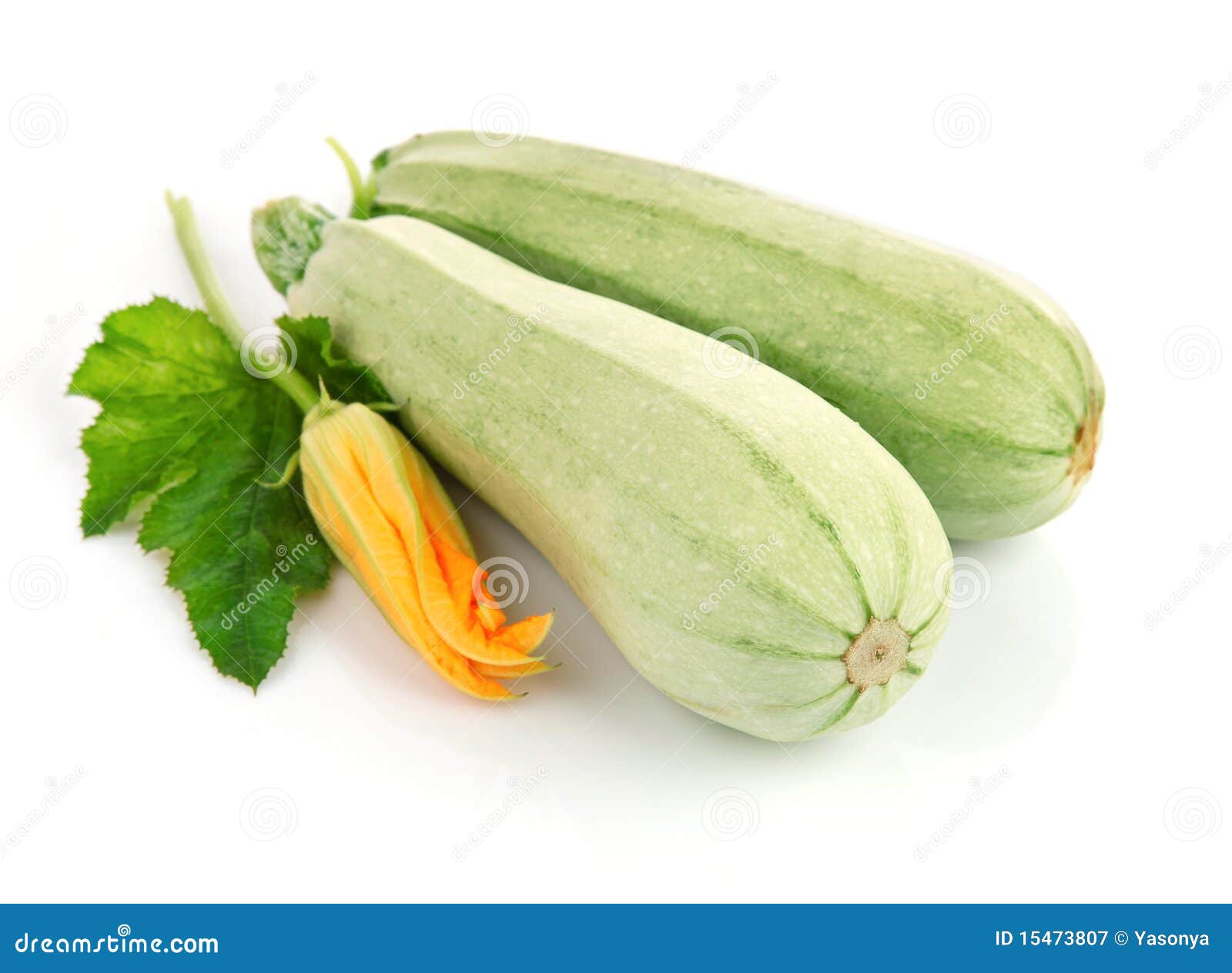 Fresh Marrow Fruits with Green Leaves Stock Image - Image of flower ...