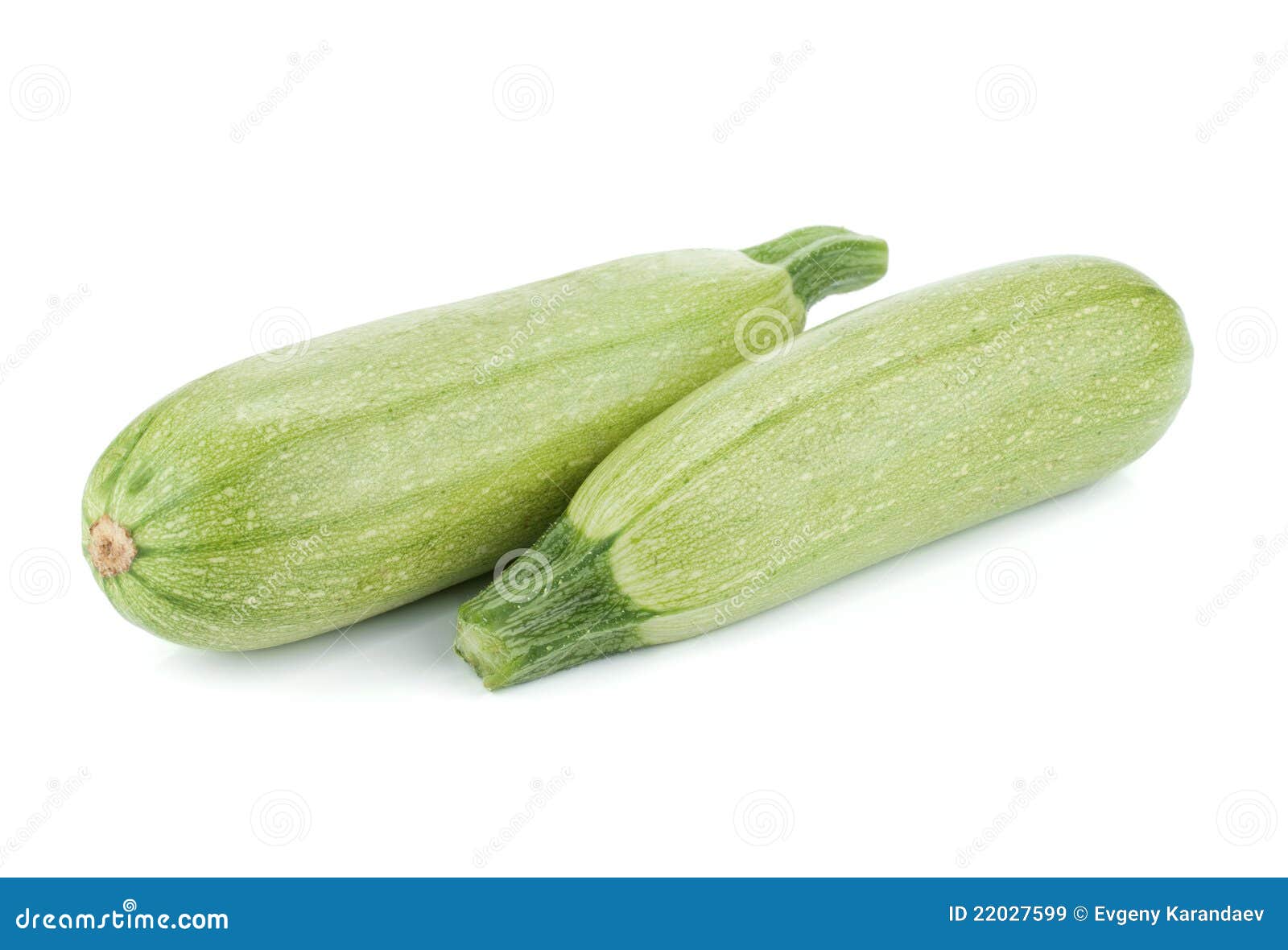 Fresh marrow vegetable stock image. Image of marrow, plant - 22027599