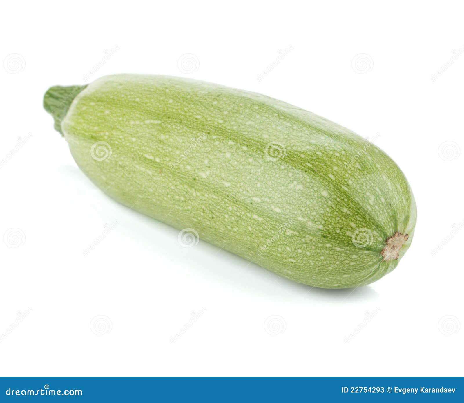 Fresh marrow vegetable stock image. Image of ingredient - 22754293