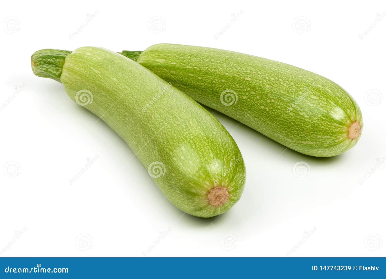 Fresh Marrow Vegetable, Close-up, Isolated on White Background Stock ...