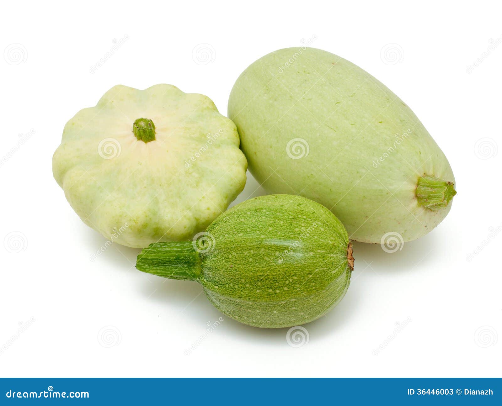 Fresh marrow on white stock image. Image of spotty, ripe - 36446003