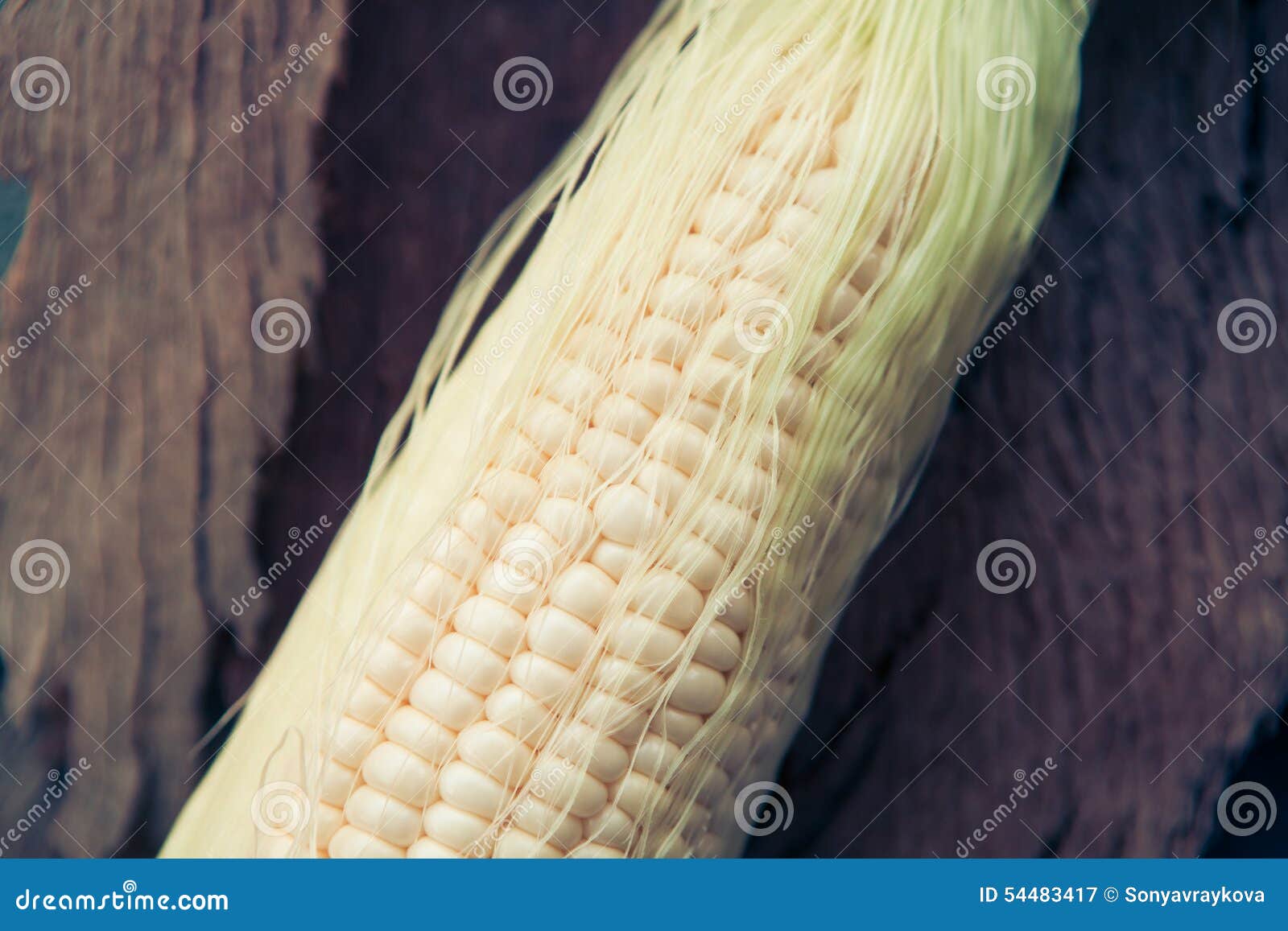 Fresh Maze Corn with Corn Silk on a Wooden Bark Stock Image - Image of ...
