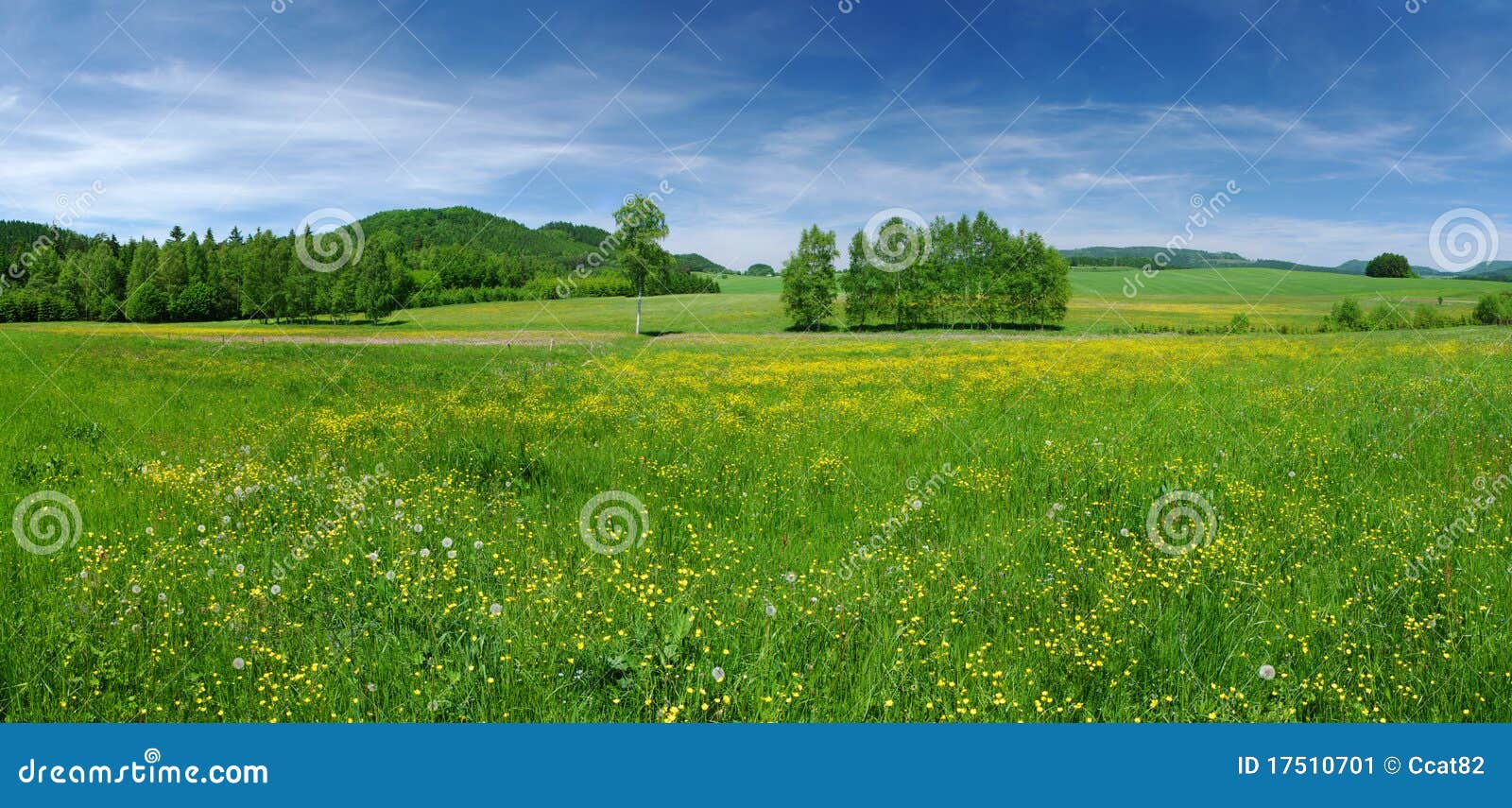 Fresh meadow stock image. Image of freedom, foliage, land - 17510701