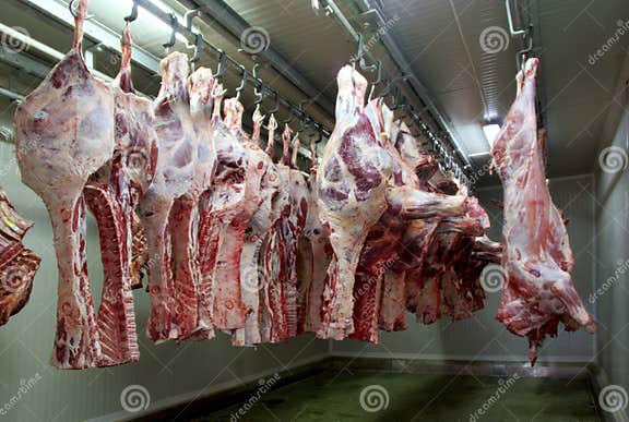 Fresh meat 7 stock image. Image of edible, prime, detail - 1458423