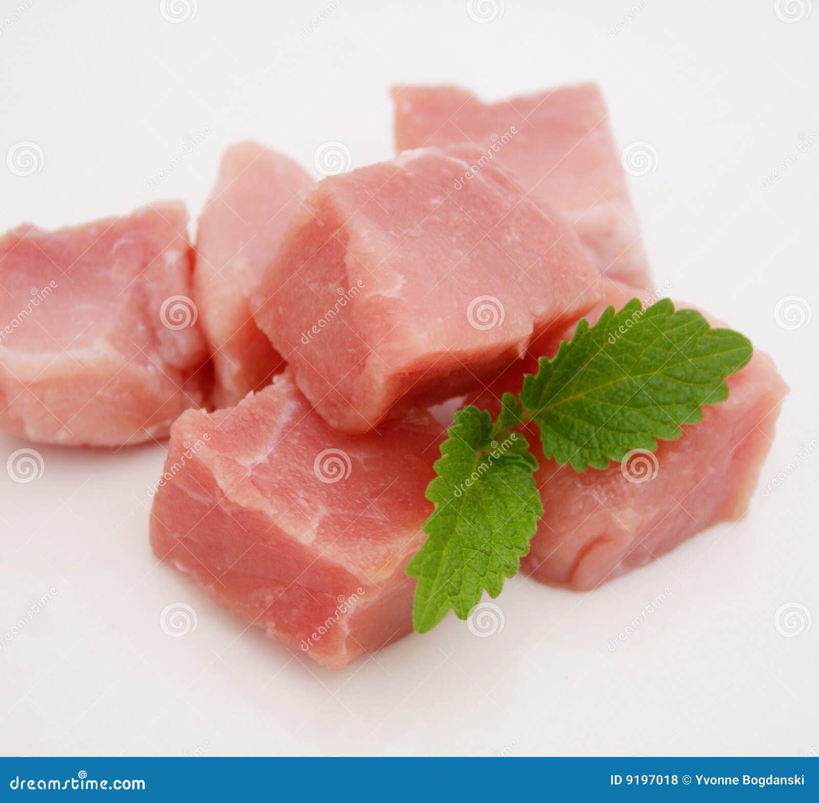Fresh meat stock photo. Image of animal, filet, ingredient - 9197018