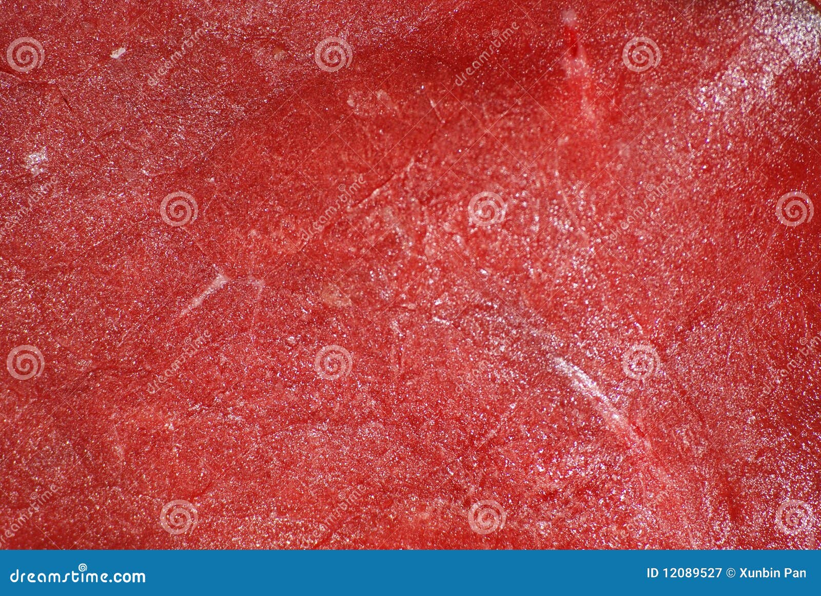Fresh meat background stock image. Image of isolated - 12089527