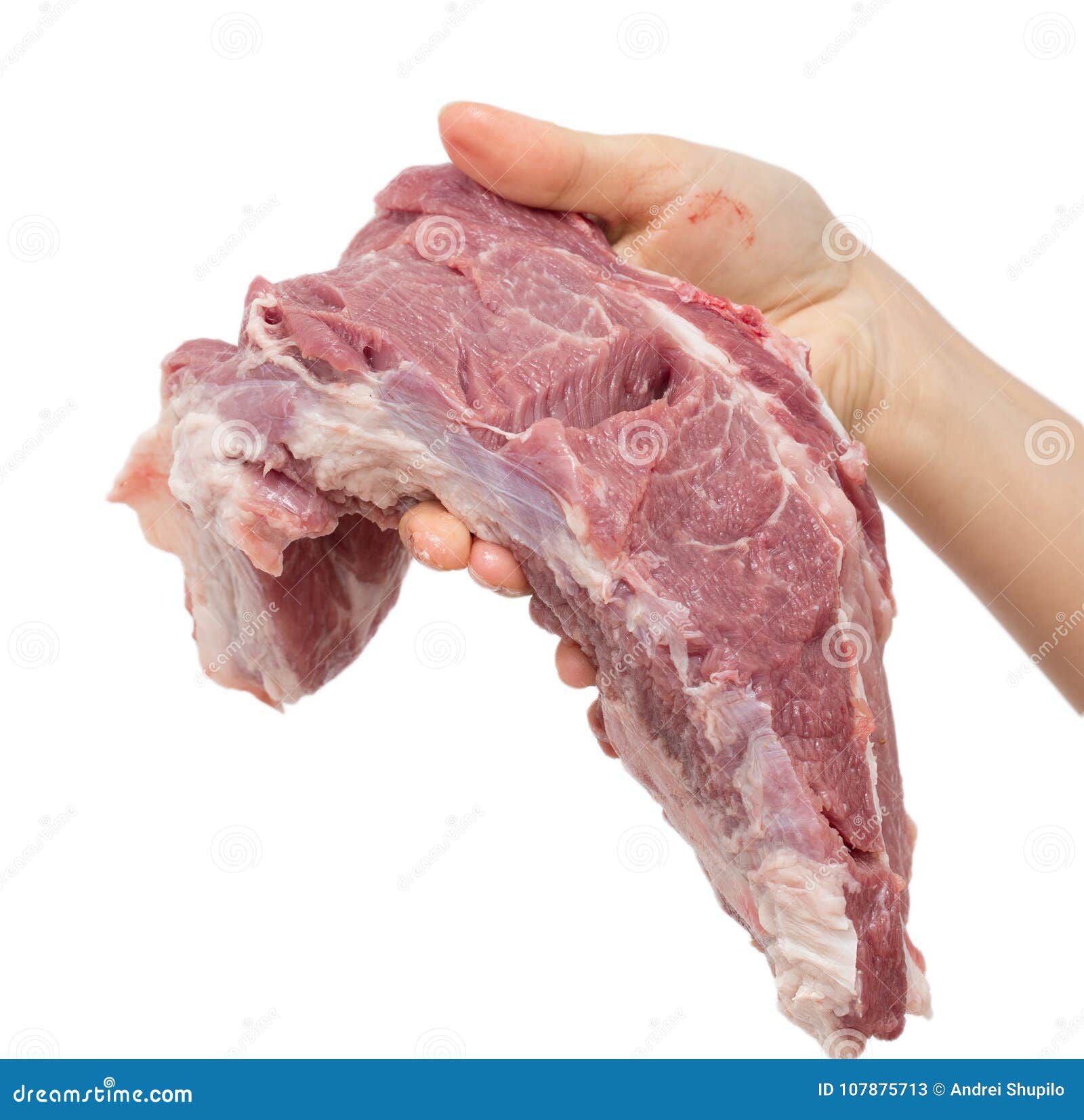Fresh Meat in Hand on a White Background Stock Image - Image of deli ...
