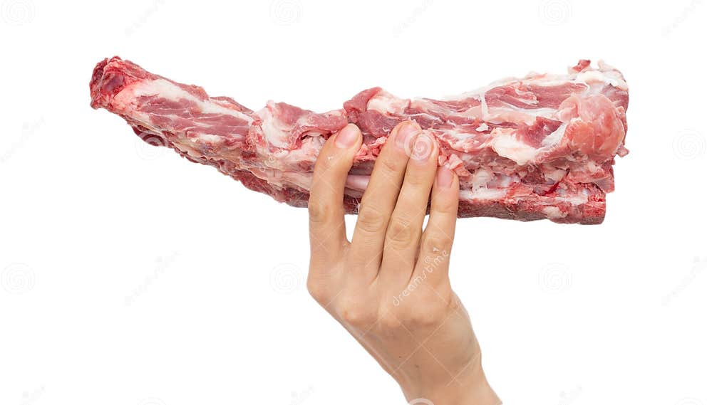 Fresh Meat in Hand on a White Background Stock Image - Image of ...