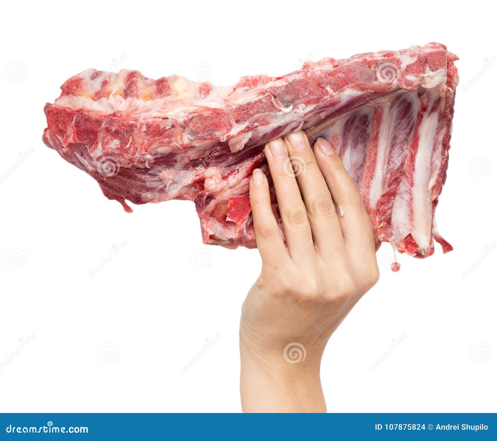 Fresh Meat in Hand on a White Background Stock Photo - Image of prepare ...