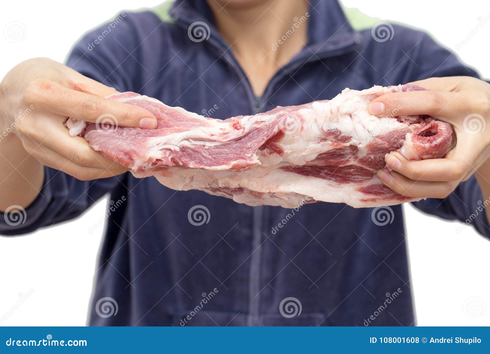 Fresh Meat in Hand on a White Background Stock Photo - Image of house ...